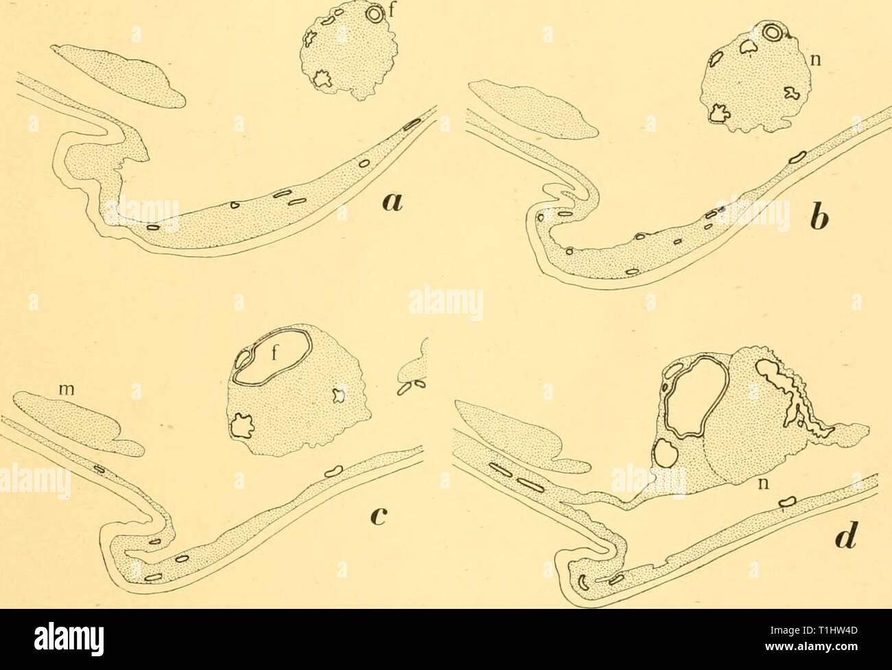 Discovery reports (1953) Discovery reports discoveryreports25inst Year ...