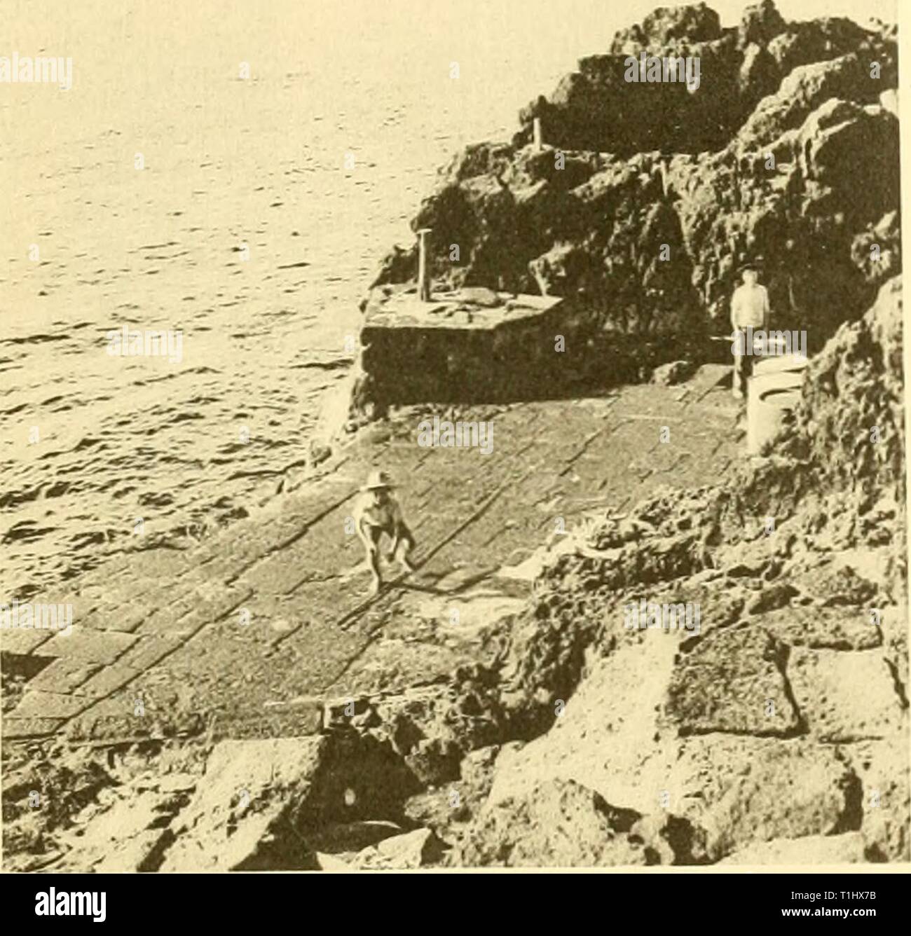 Discovery reports (1954) Discovery reports discoveryreports26inst Year ... Discovery reports (1954) Discovery reports discoveryreports26inst Year ...