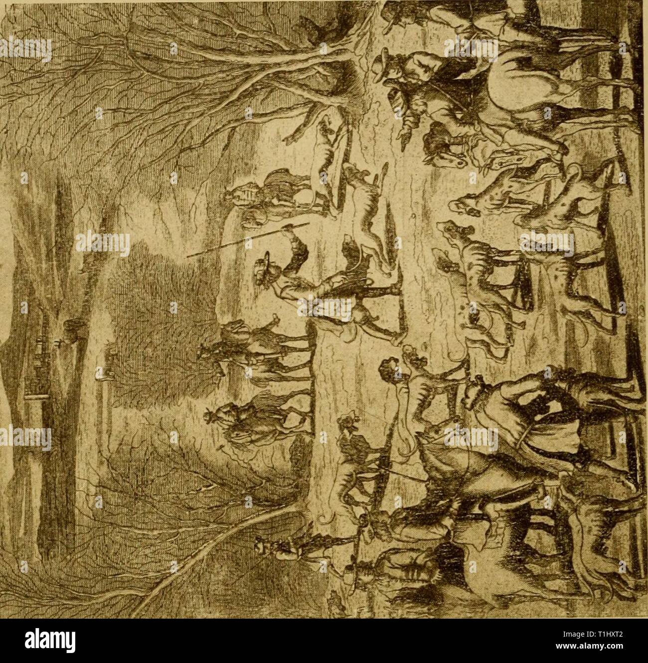 The dog book a Stock Photo - Alamy