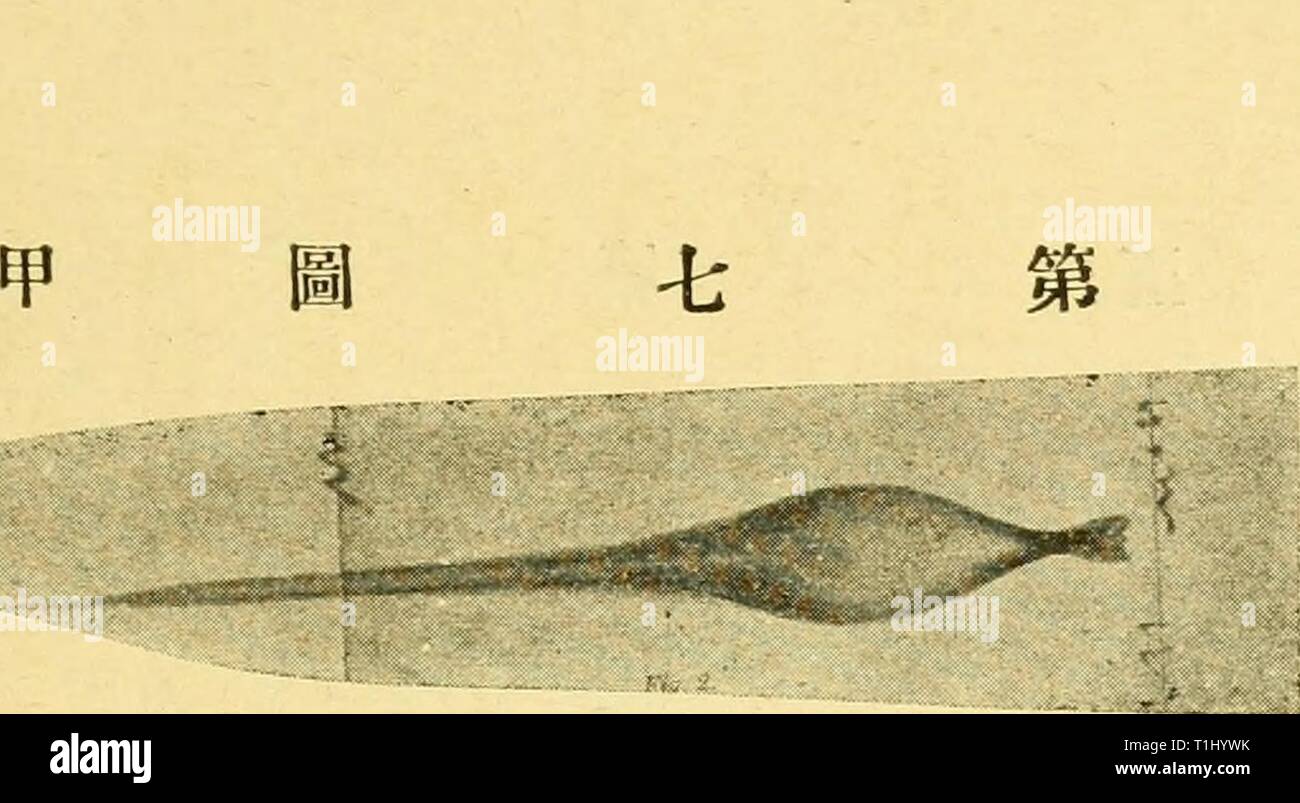 Dobutsugaku zasshi (1905 Stock Photo - Alamy