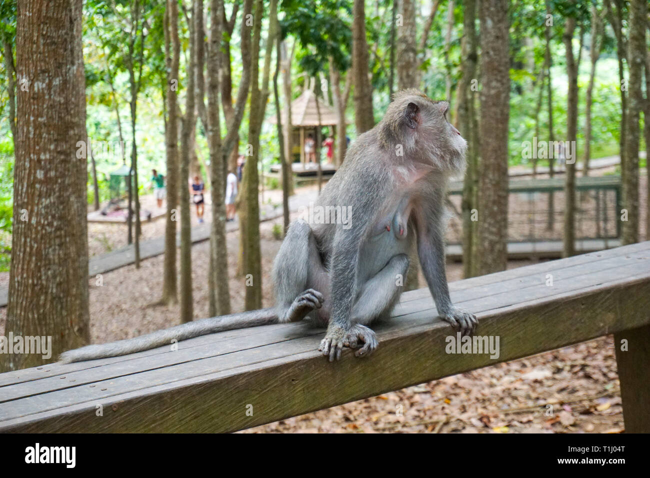 Sitting o a bench hi-res stock photography and images - Alamy