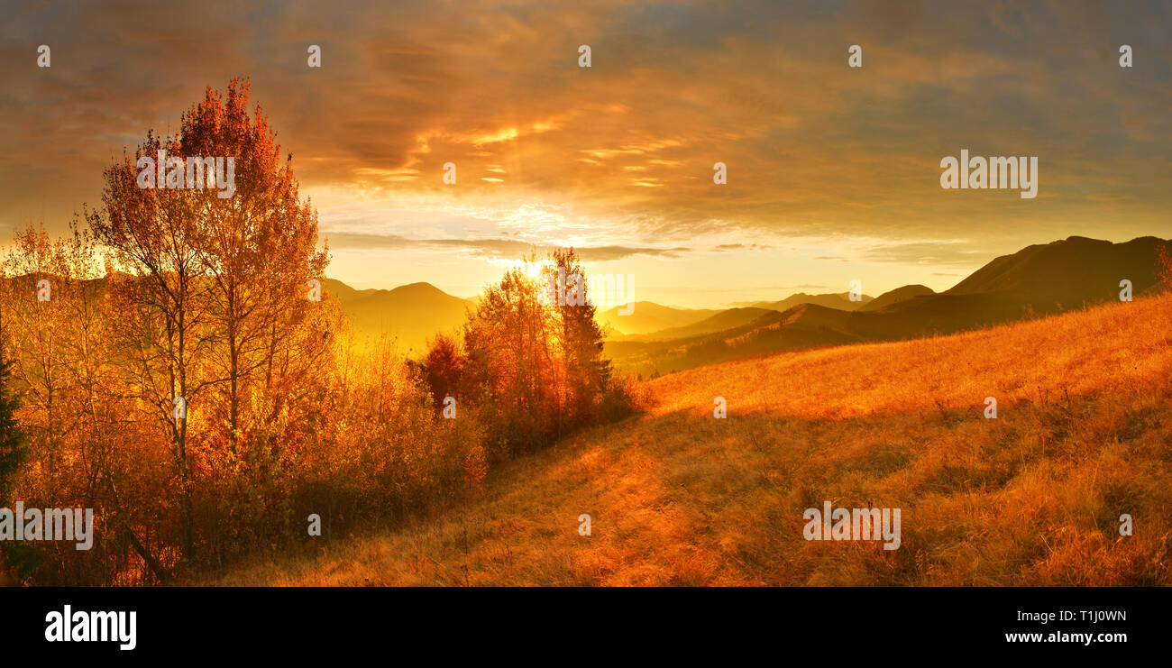 Forest path on an autumn morning hi-res stock photography and images ...