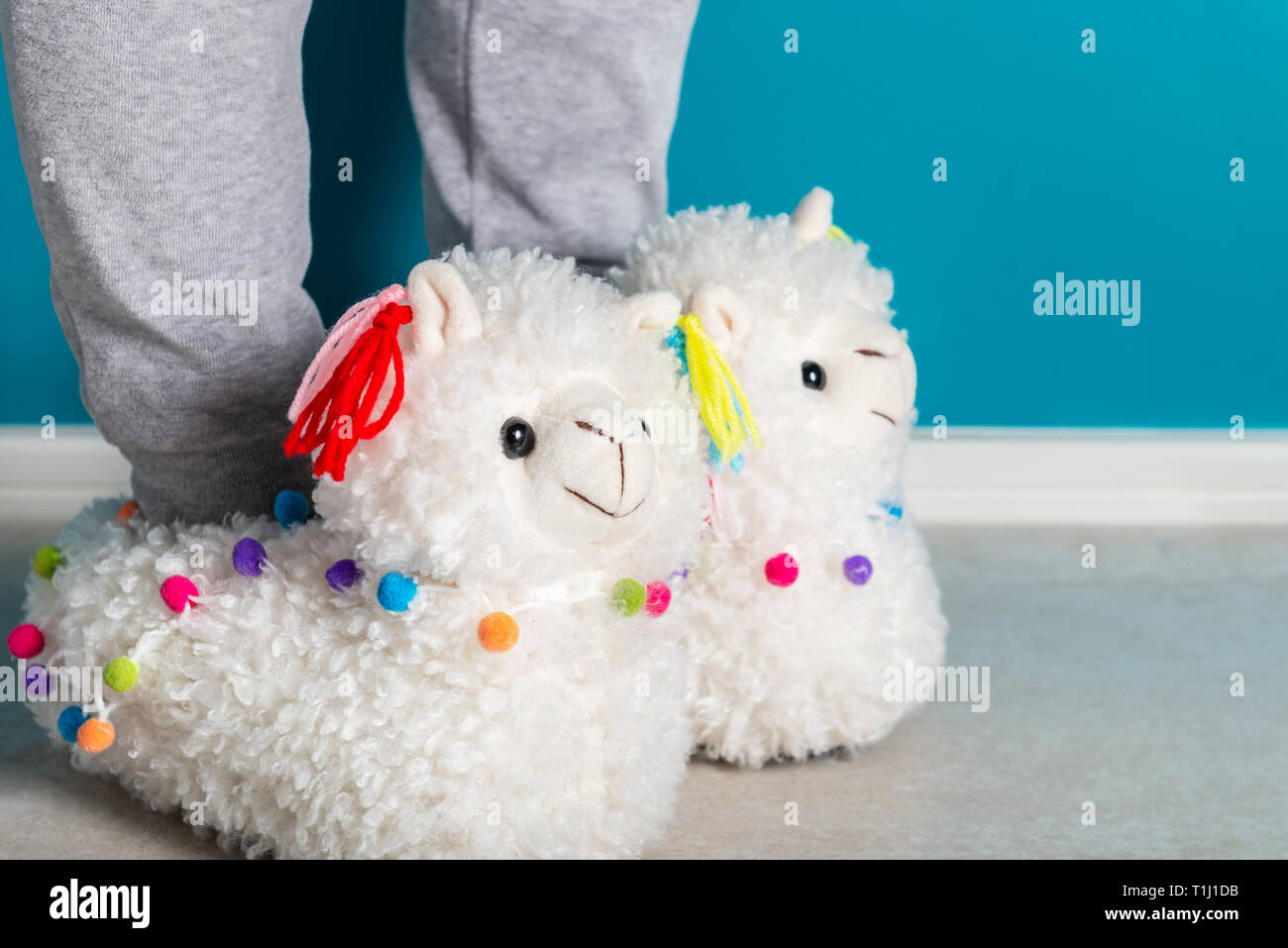 Young girl is wearing cute soft 3d llama slippers. she is standing on ...