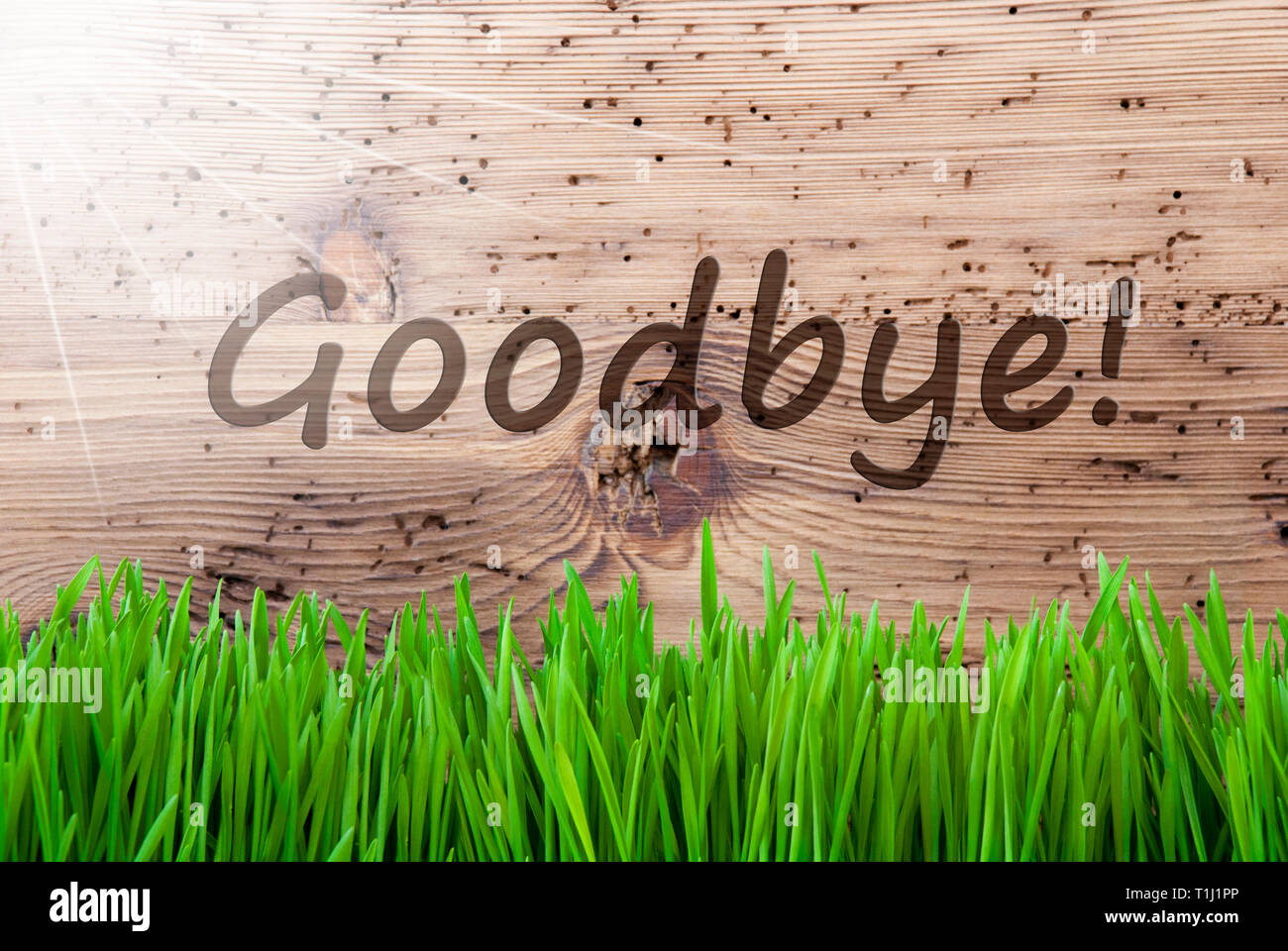Bright Sunny Wooden Background, Grass, Text Goodbye Stock Photo - Alamy