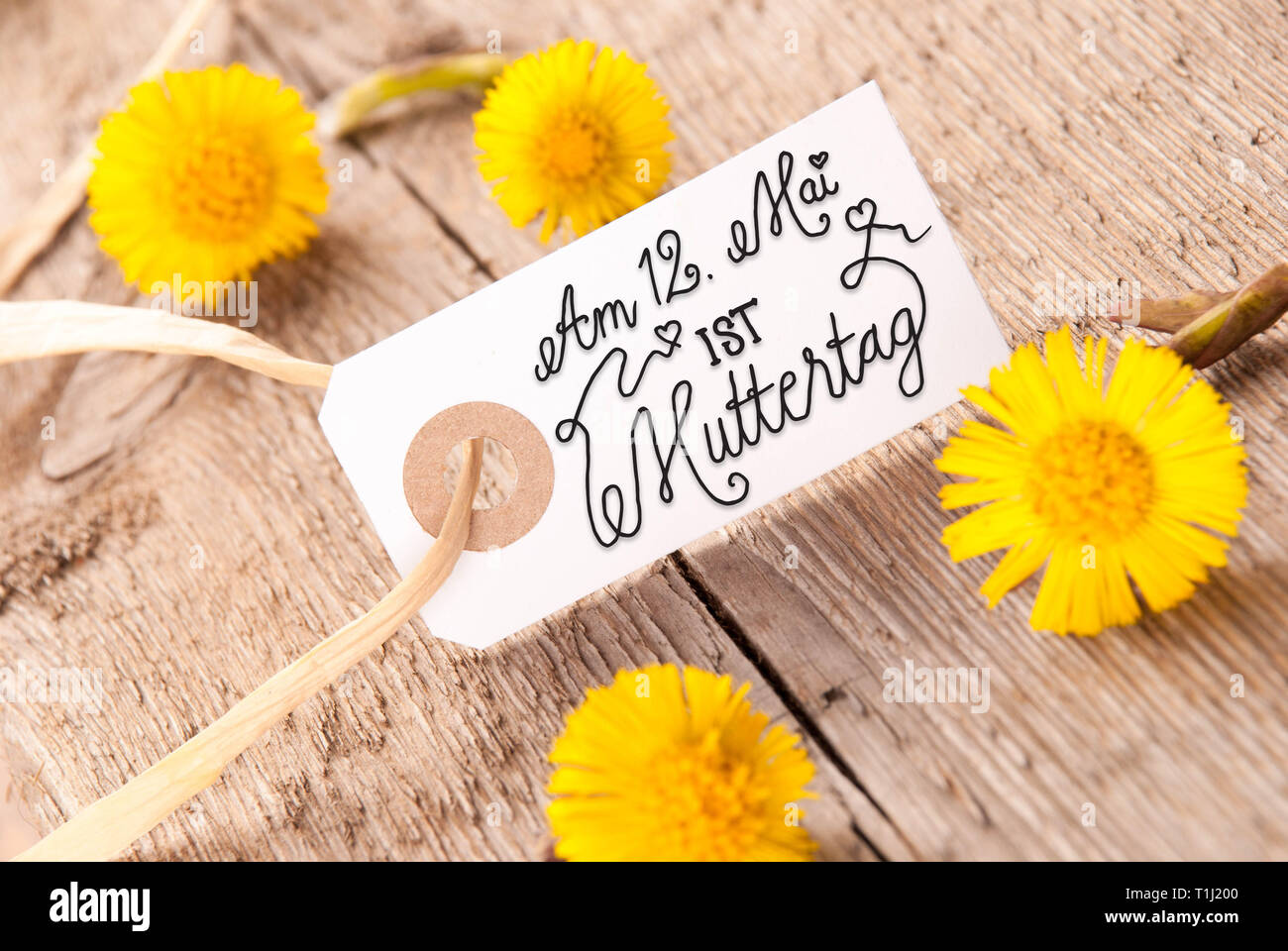 Label, Dandelion, Calligraphy Muttertag Means Happy Mothers Day Stock ...