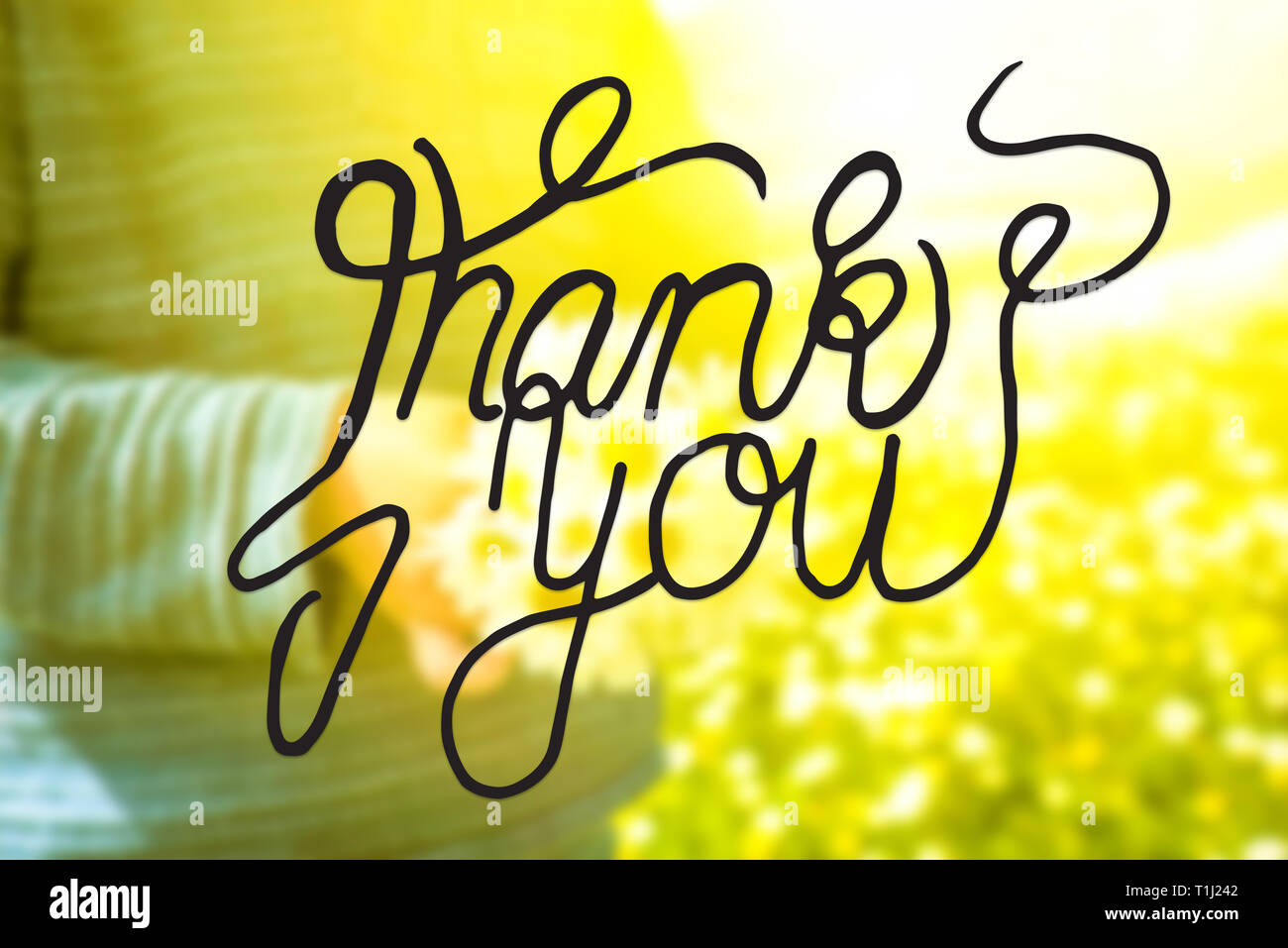 Child, Bouquet Of Daisy Flower, Calligraphy Thank You Stock Photo - Alamy