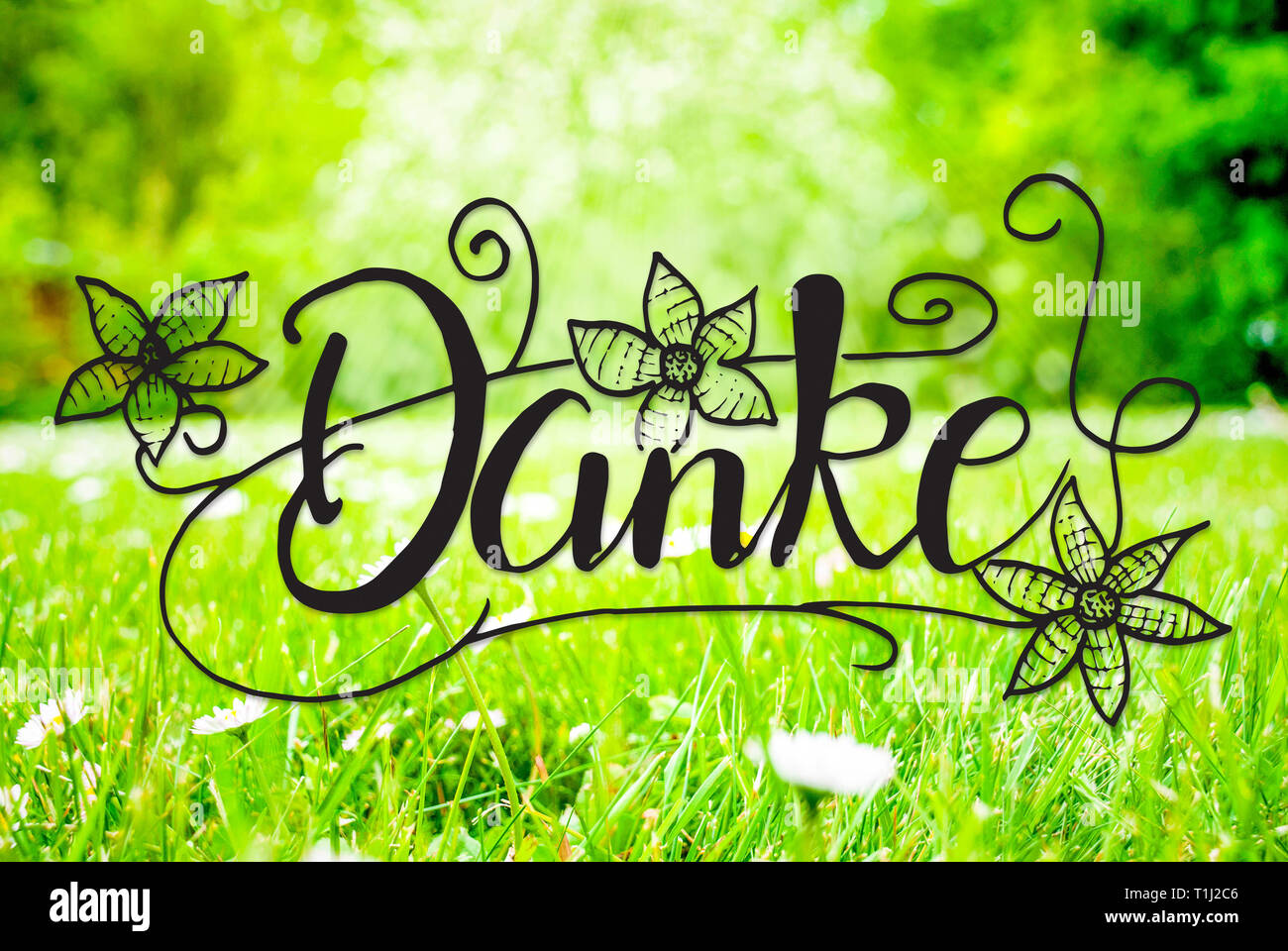 Spring Meadow, Daisy, Calligraphy Danke Means Thank You Stock Photo - Alamy