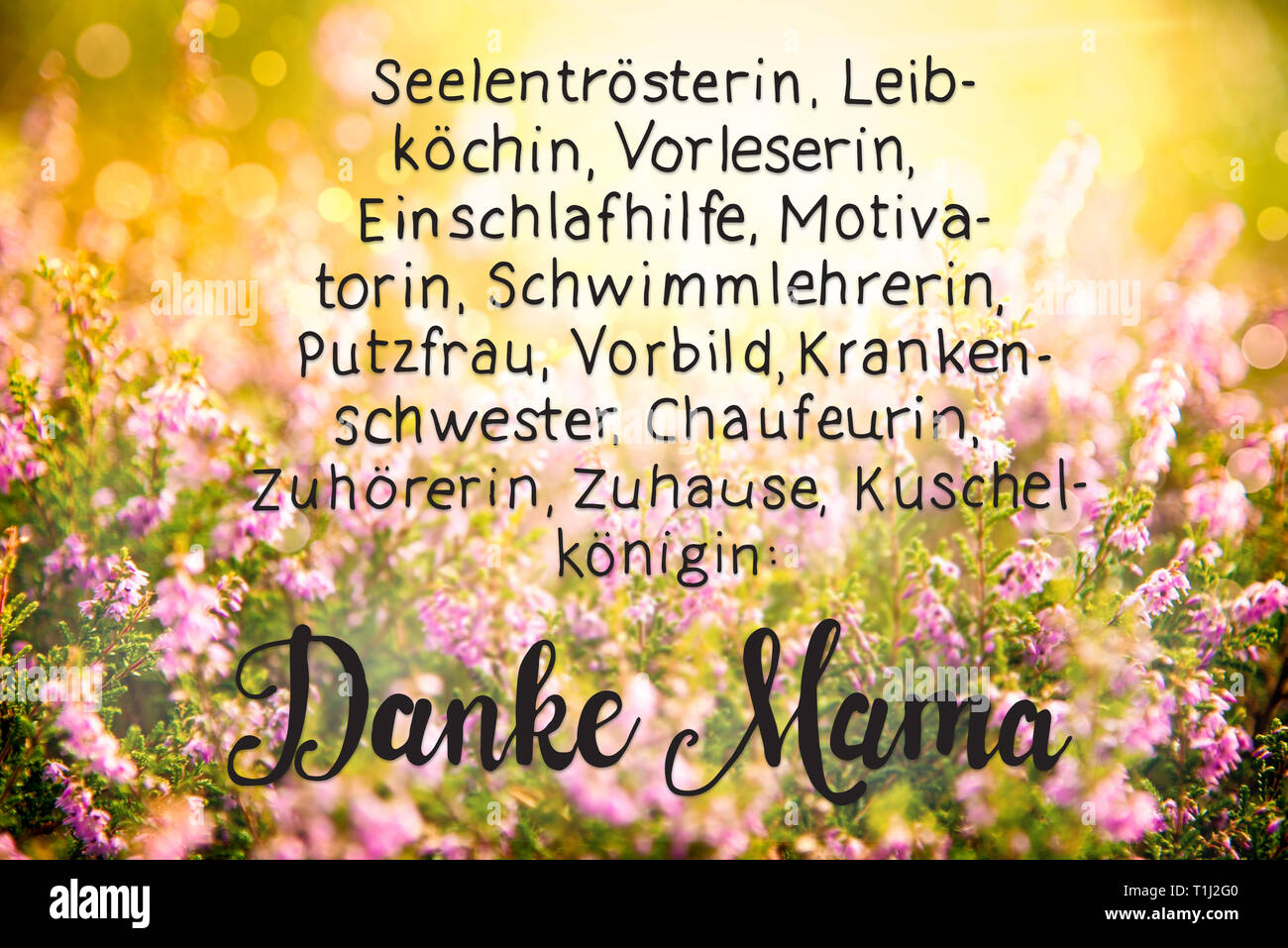 Erica Flower Field, Calligraphy Danke Mama Means Thanks Mom Stock Photo ...