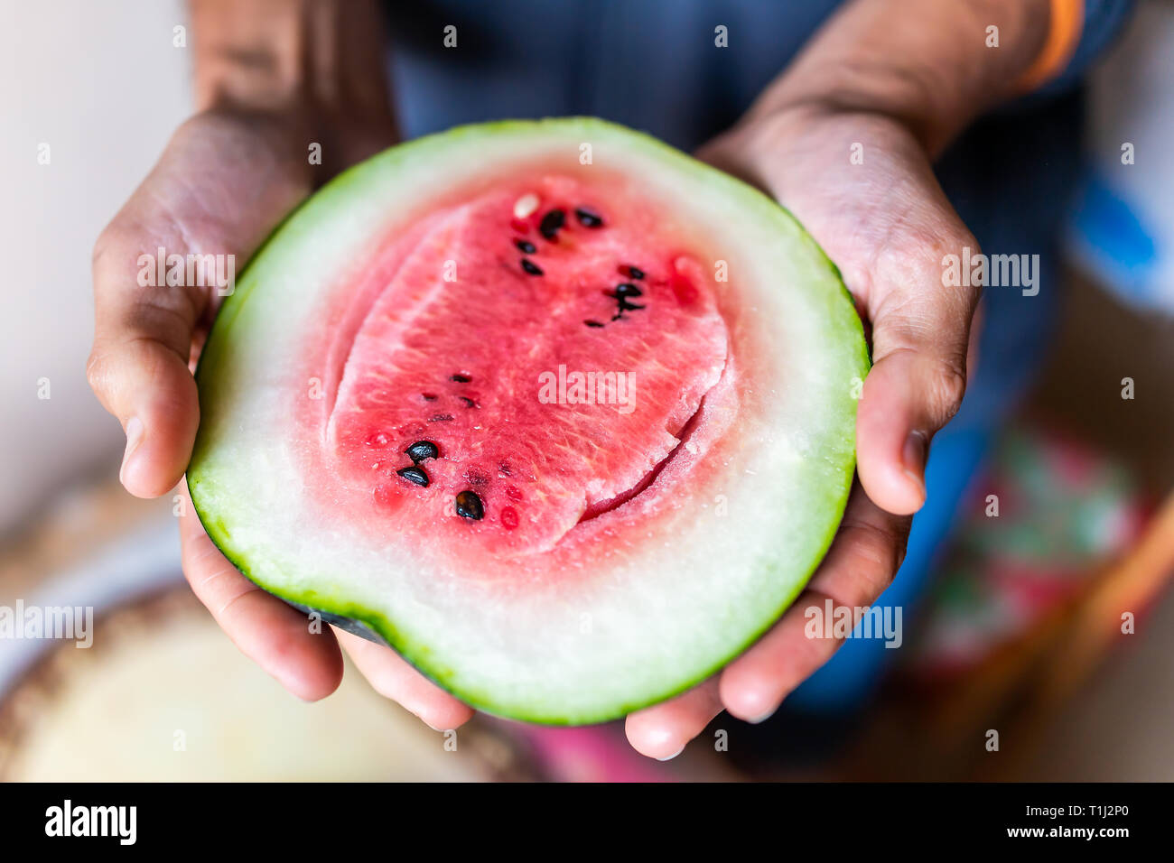 Colorful red pink watermelon half cut homegrown in garden with thick ...