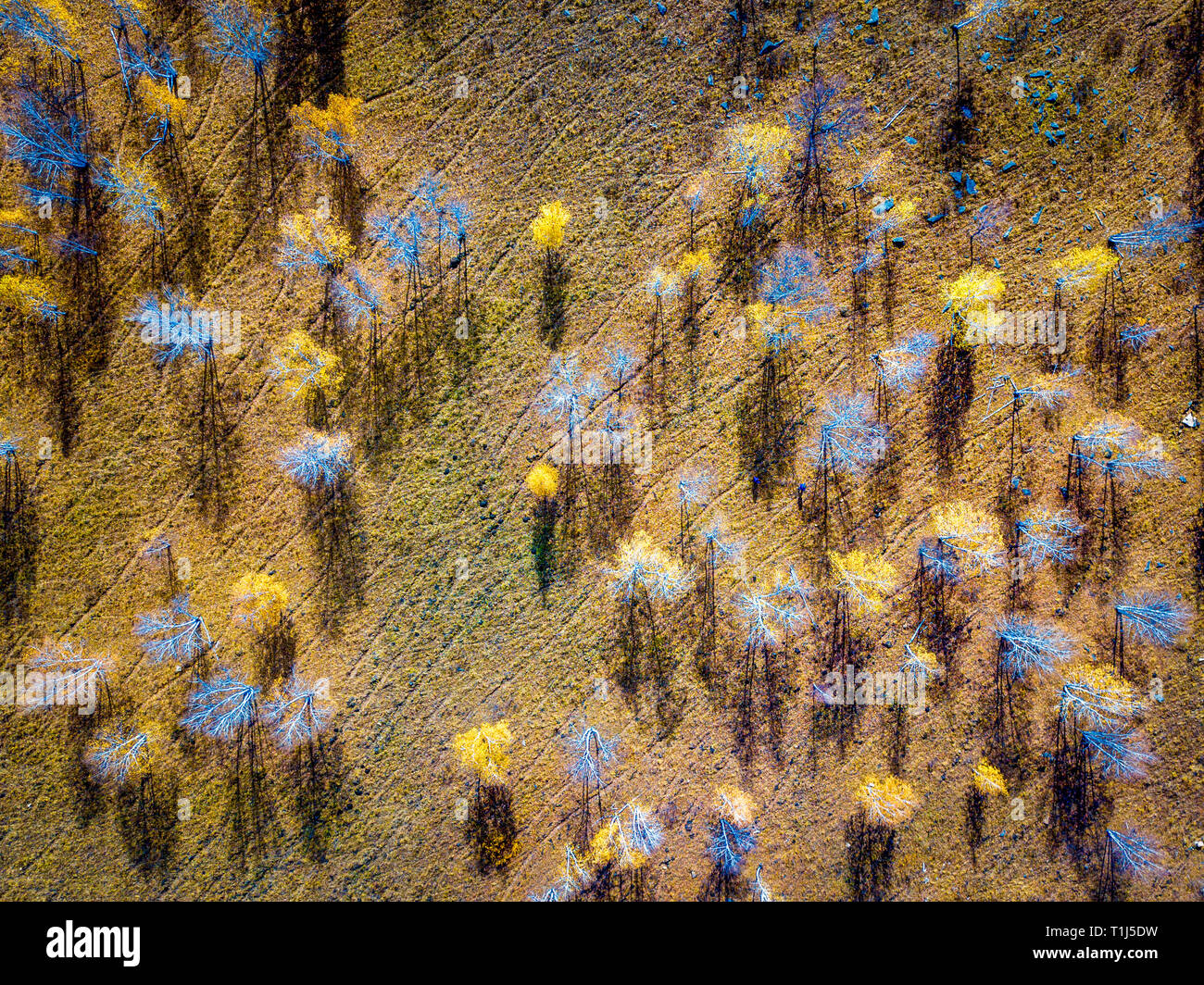 Eagle Eye View High Resolution Stock Photography and Images - Alamy