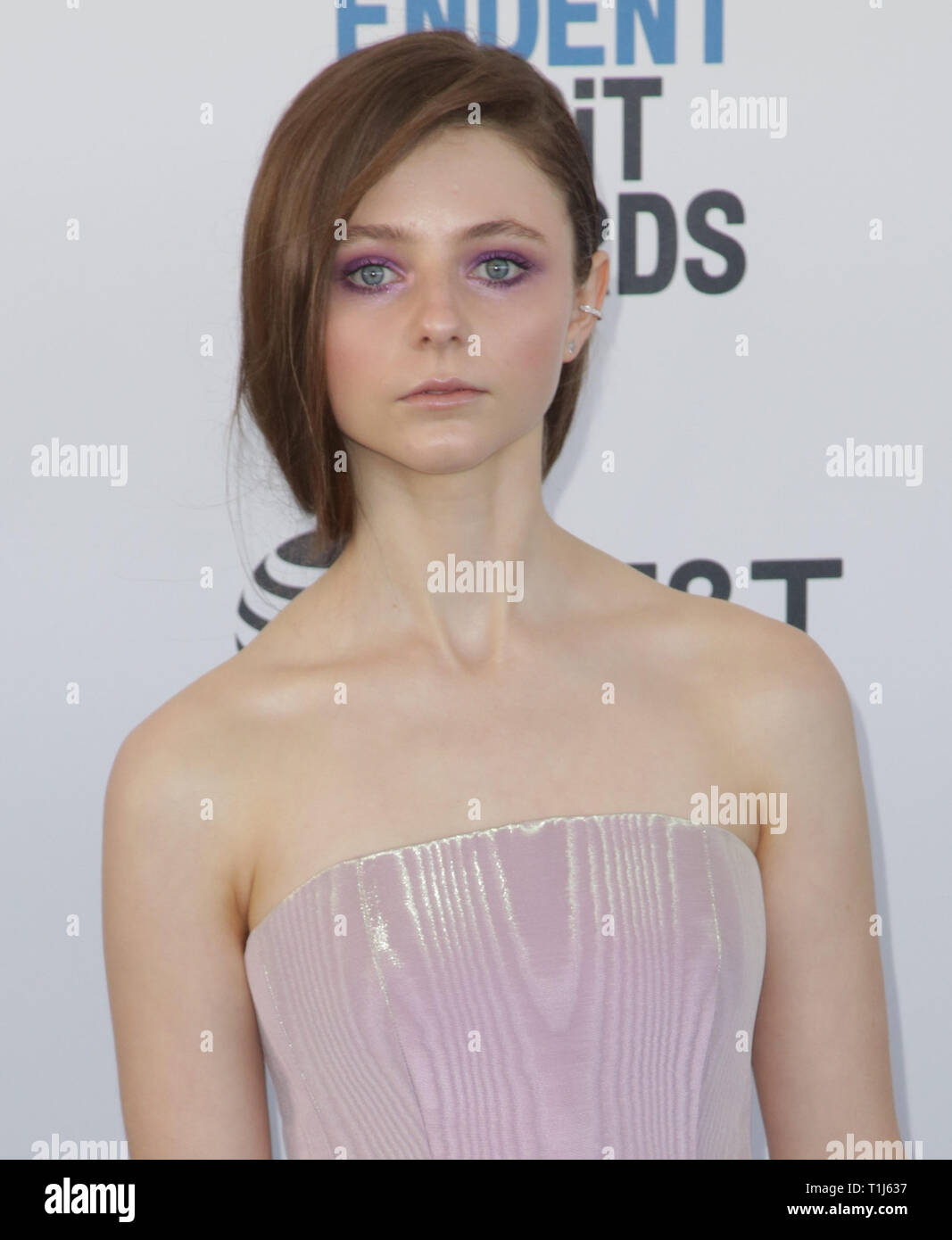 Celebrities attend 2019 Independent Spirit Awards in Santa Monica ...