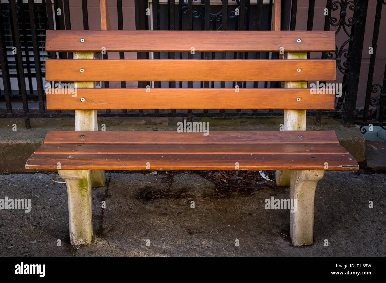 Beautiful old street bench in New York City's Harlem neighborhood ...