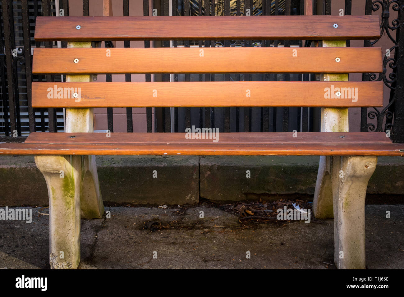Beautiful old street bench in New York City's Harlem neighborhood ...