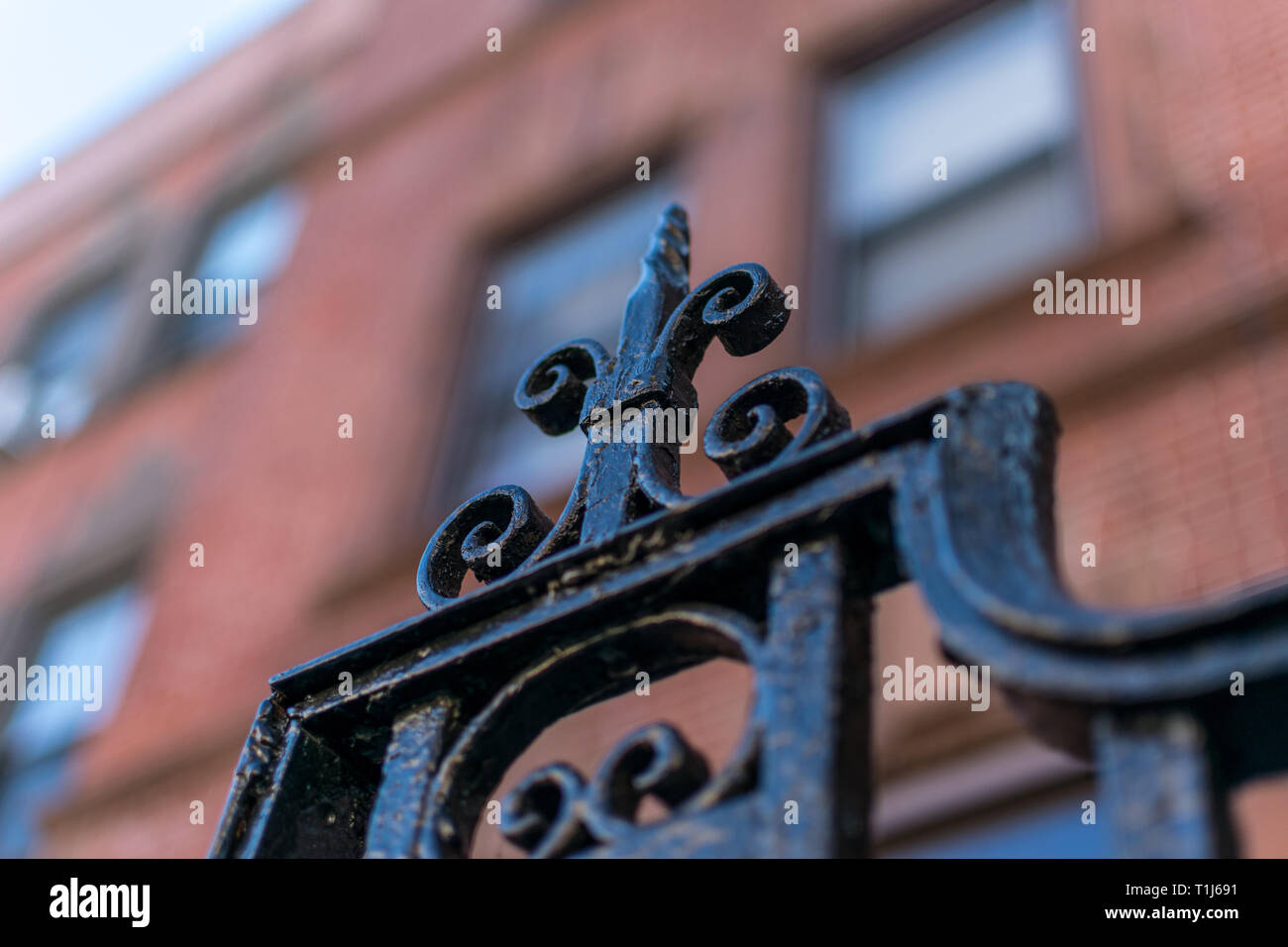 Detail on a wrought iron gate in New York City's Harlem neighborhood ...