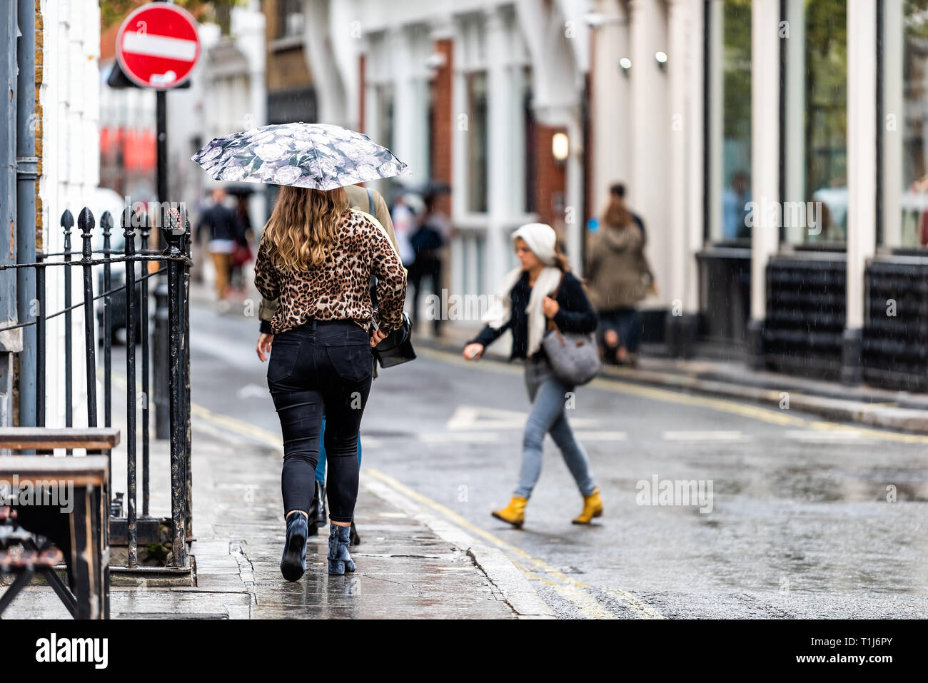 Rainy season uk hi-res stock photography and images - Alamy