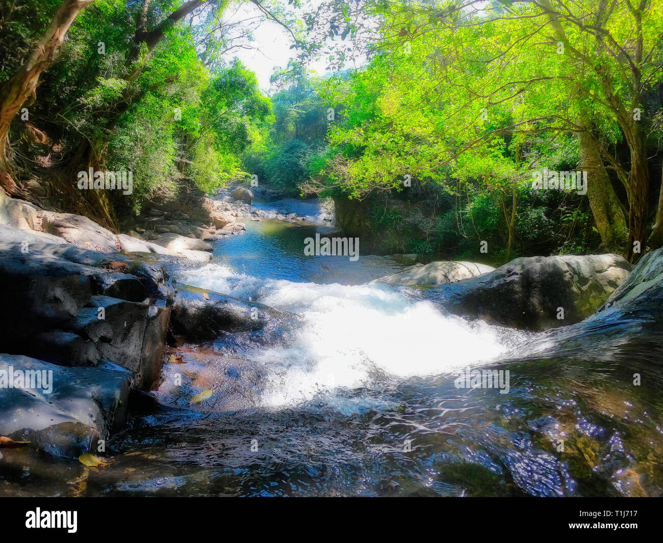 This unique photo shows the wild jungle waterfall and stunning nature ...