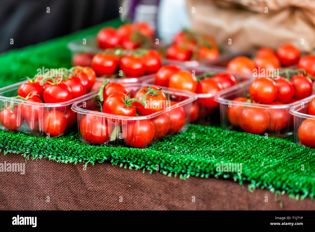 Closeup of many ripe red vine ripened campari tomatoes on display ...
