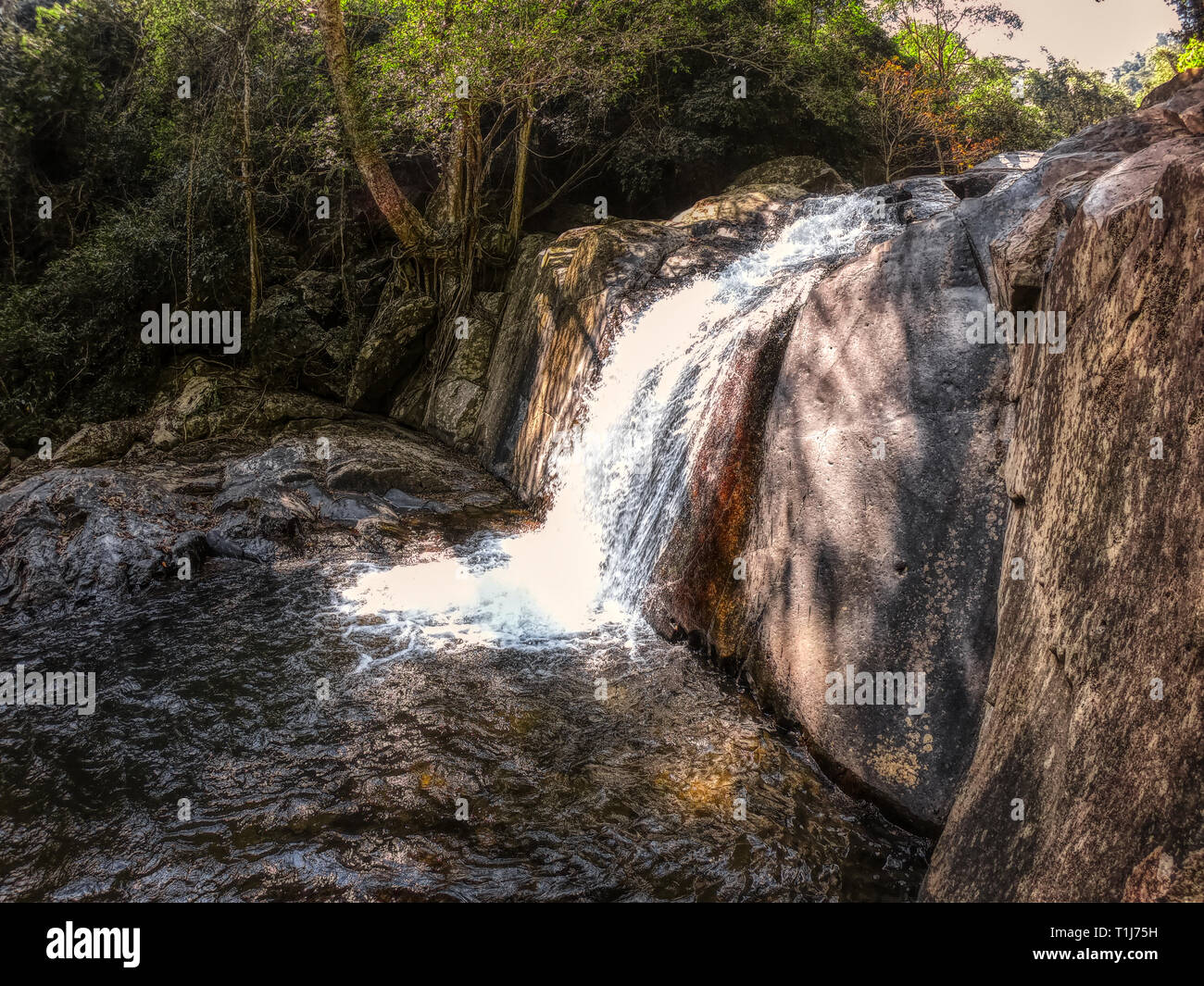 This unique photo shows the wild jungle waterfall and stunning nature ...
