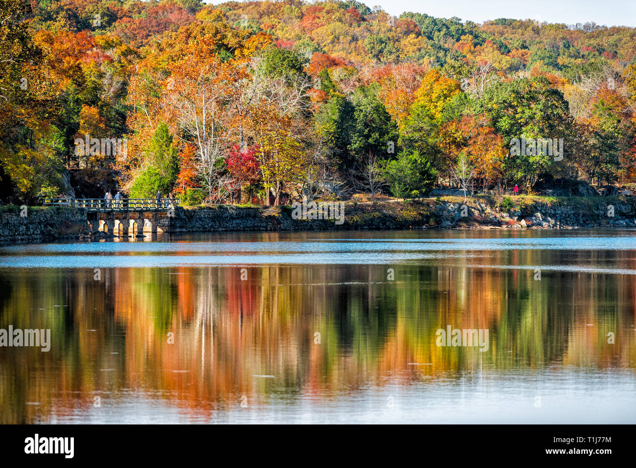 Great Falls trees reflection during autumn in Maryland colorful yellow ...