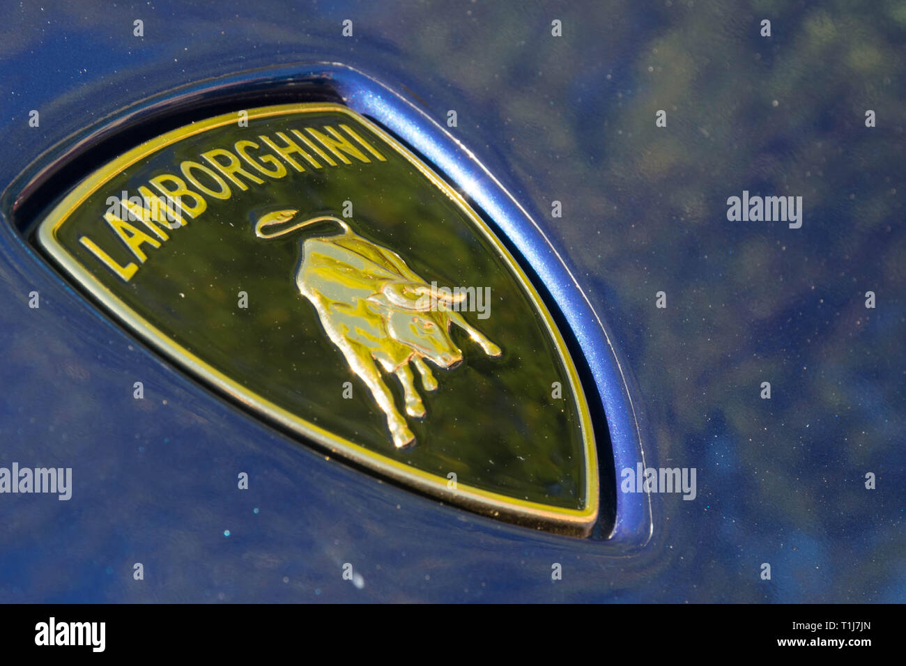 Lamborghini logo hi-res stock photography and images - Alamy