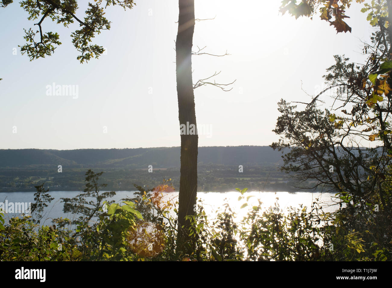 A tree splitting the frame of a landscape Stock Photo - Alamy