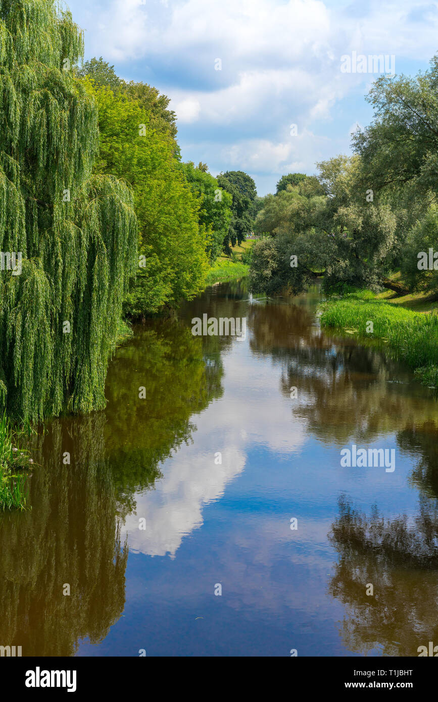 typical nature of central Russia Stock Photo - Alamy