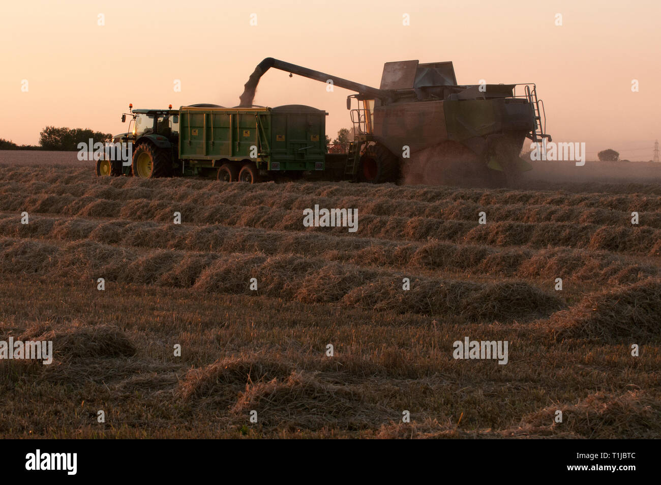 Tractor harvesting barley hi-res stock photography and images - Alamy