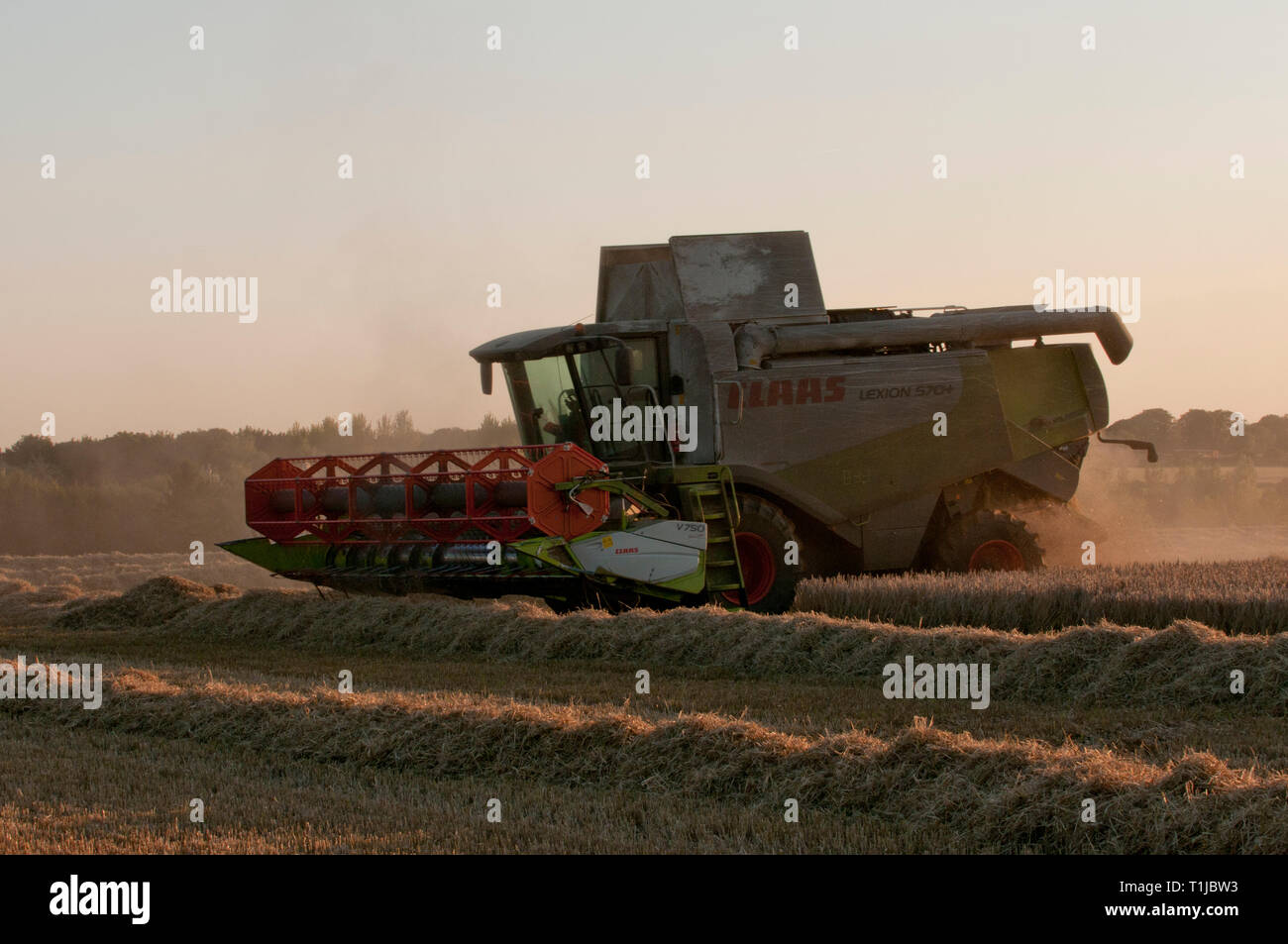 Harvesting efficiency hi-res stock photography and images - Alamy