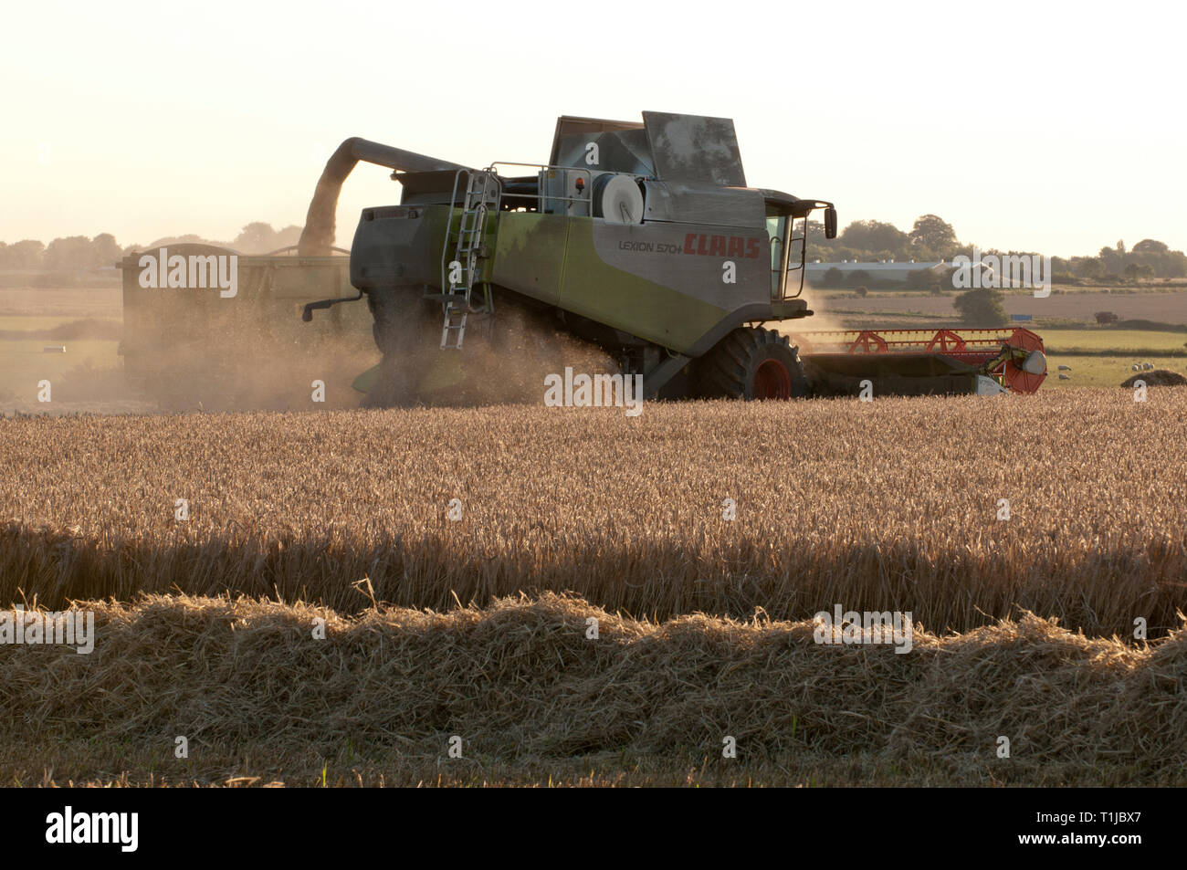 Tractor harvesting barley hi-res stock photography and images - Alamy