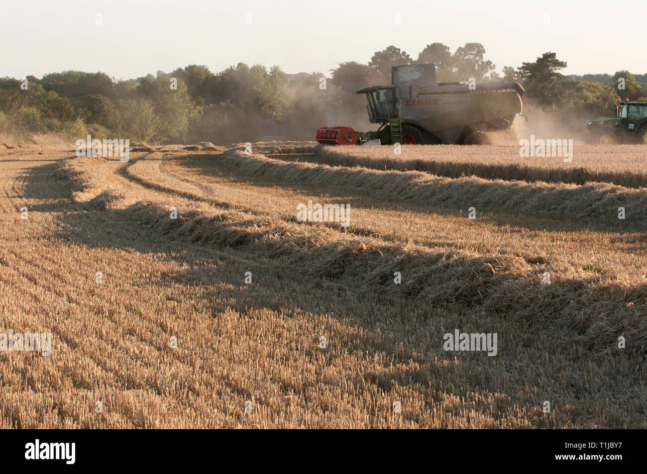 Grain cart hi-res stock photography and images - Alamy