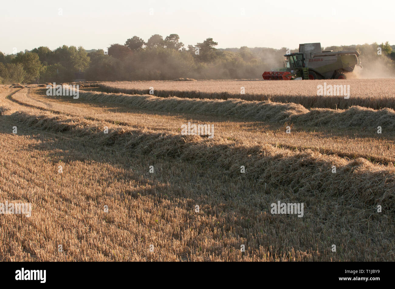 Rural scene combine harvester hi-res stock photography and images - Alamy