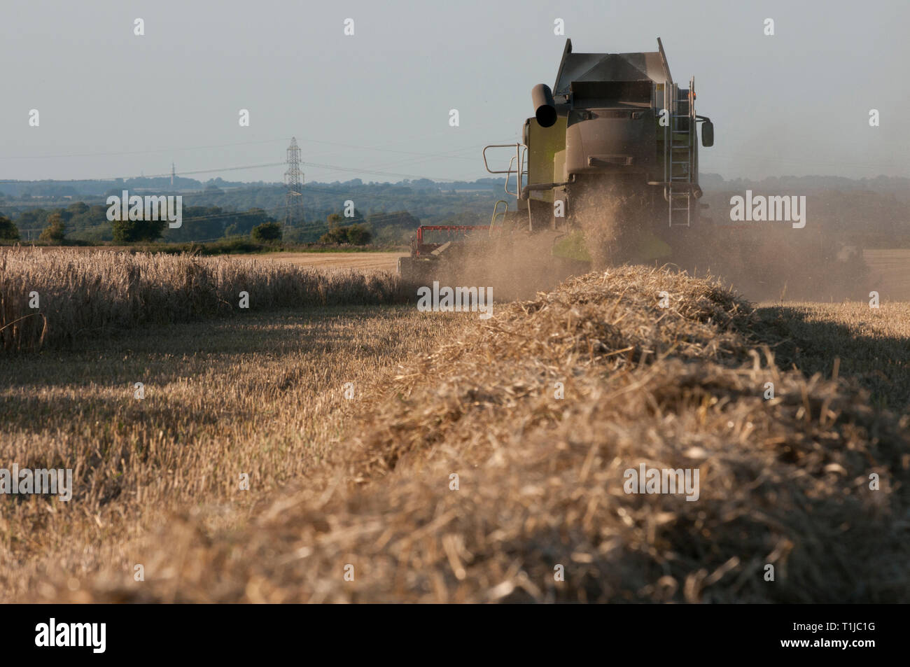 Combine harvester harvesting barley Stock Photo - Alamy