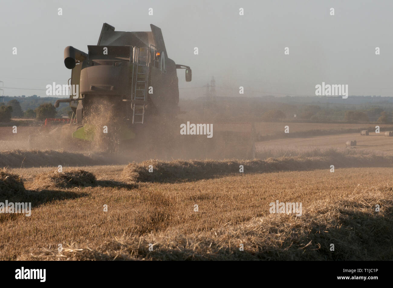 Combine harvester harvesting barley Stock Photo - Alamy