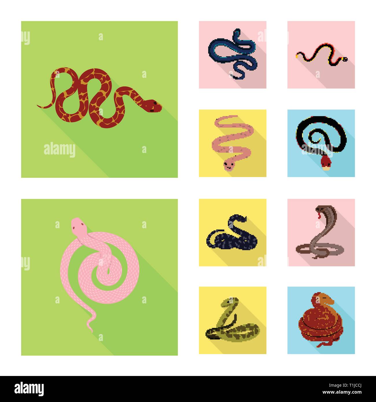 snake,amphibian,animal,viper,anaconda,cobra,wild,tail,coral,white ...