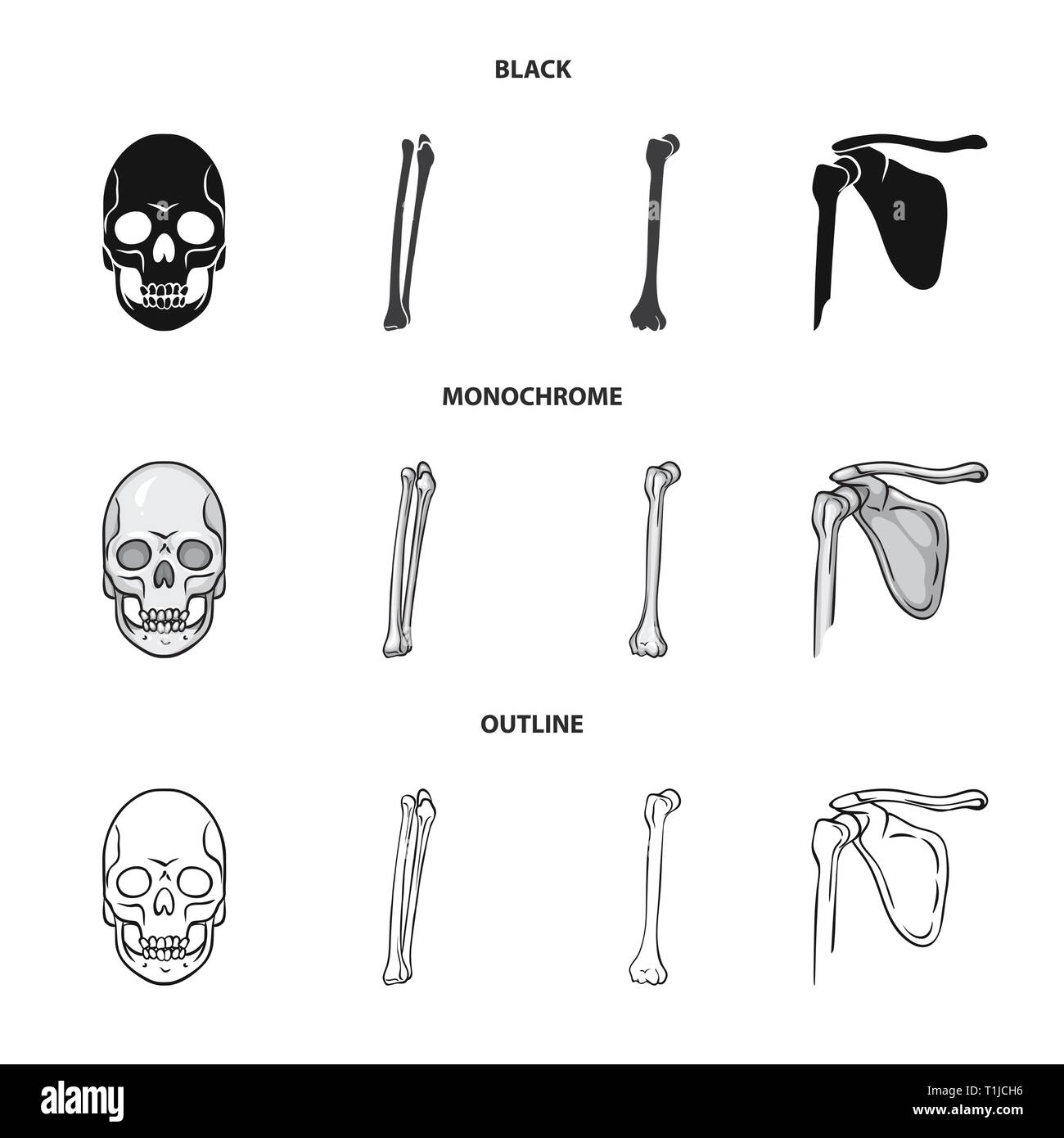 Tattoo On Pelvic Bone