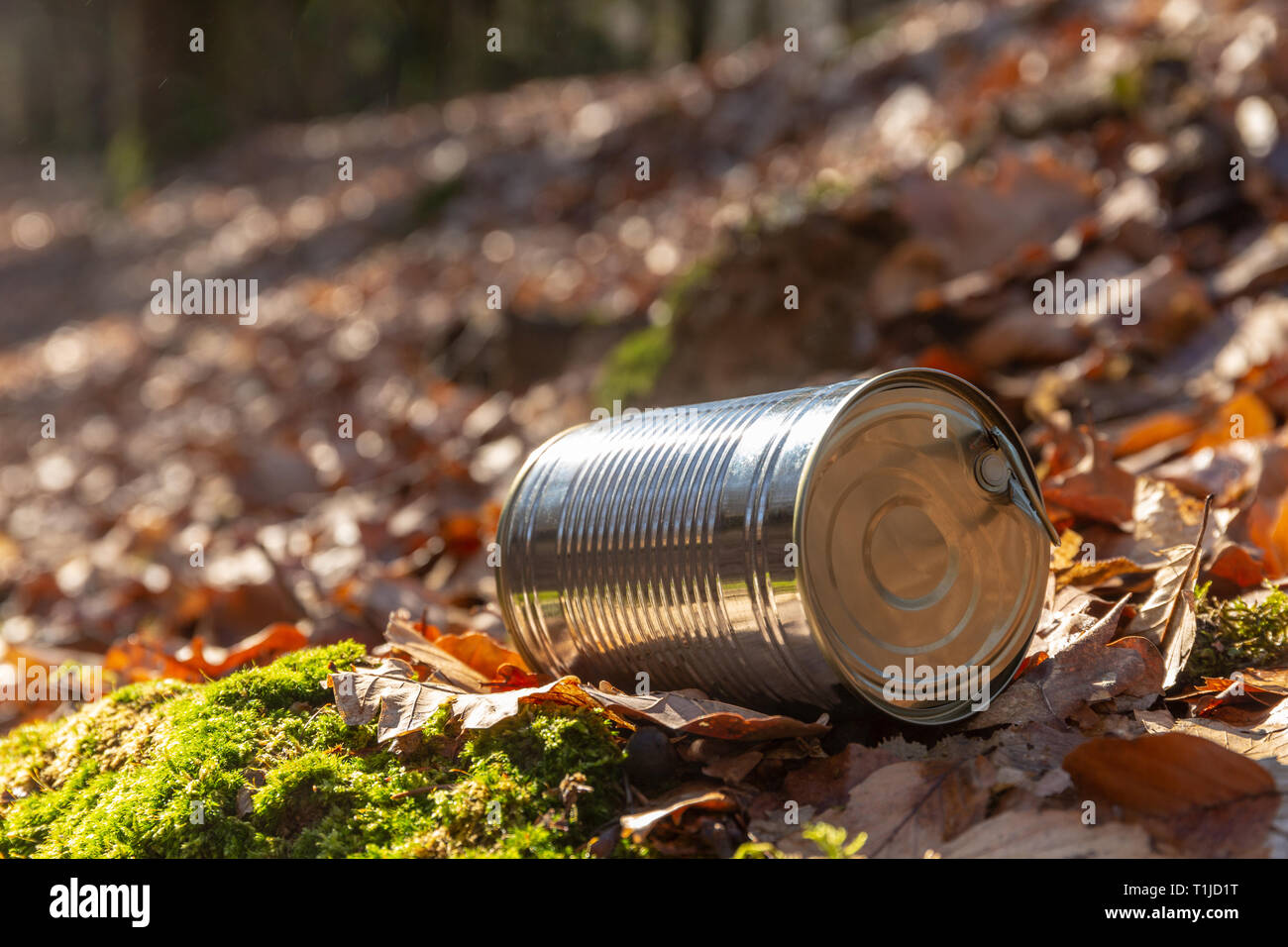Still life of an empty used tin can with lid and pull waste on forest ...