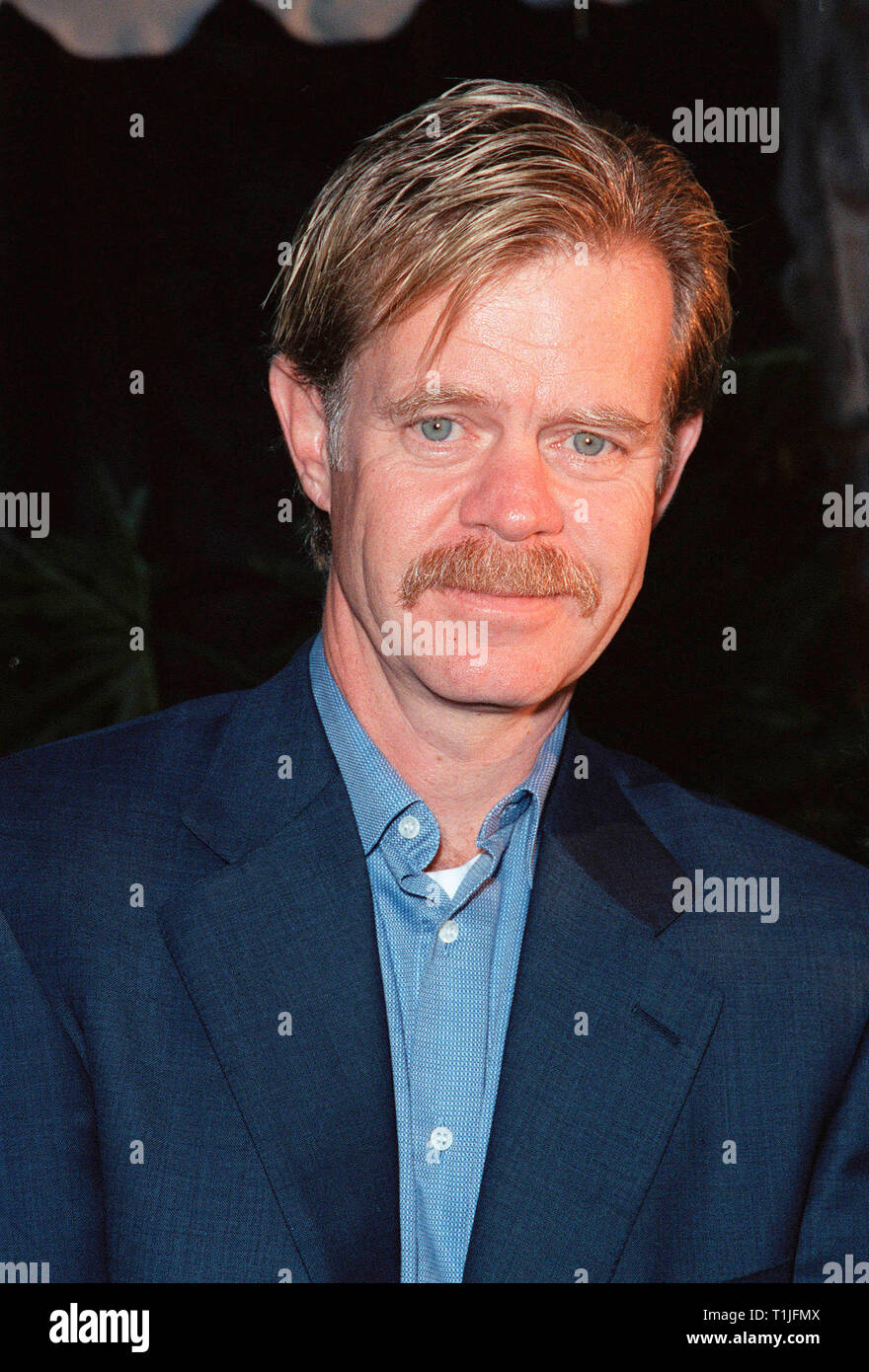 William martin murphy hi-res stock photography and images - Alamy