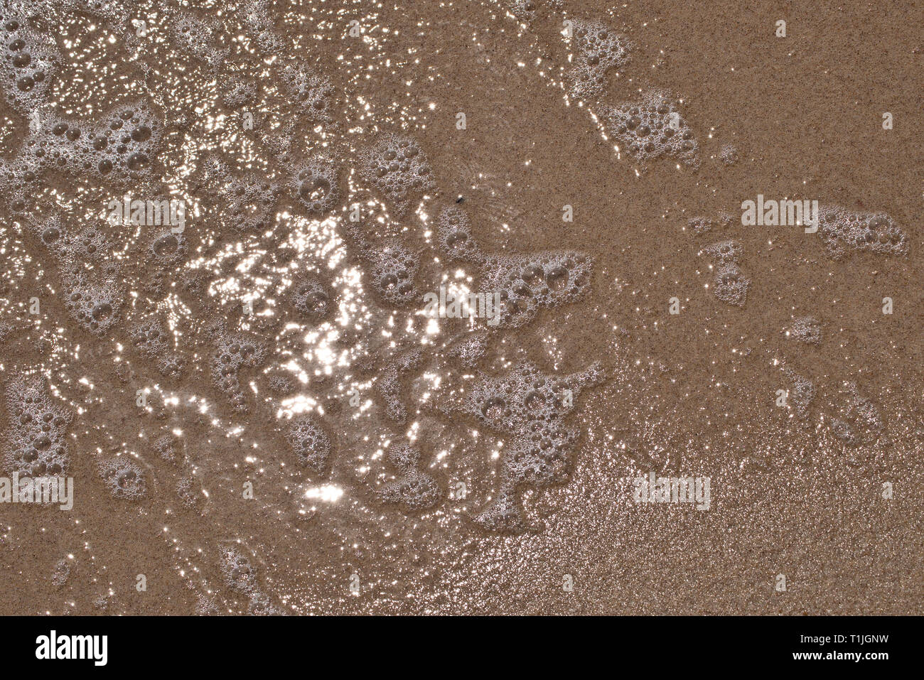 Foam bubble at the beach hi-res stock photography and images - Alamy