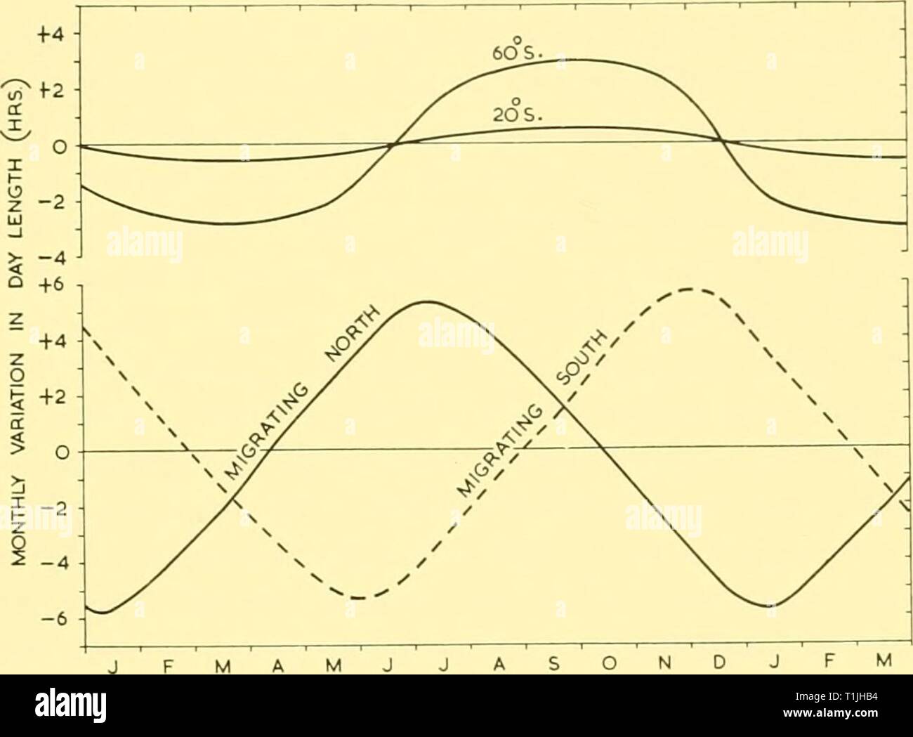 Discovery reports (1962) Discovery reports discoveryreports31inst Year ...