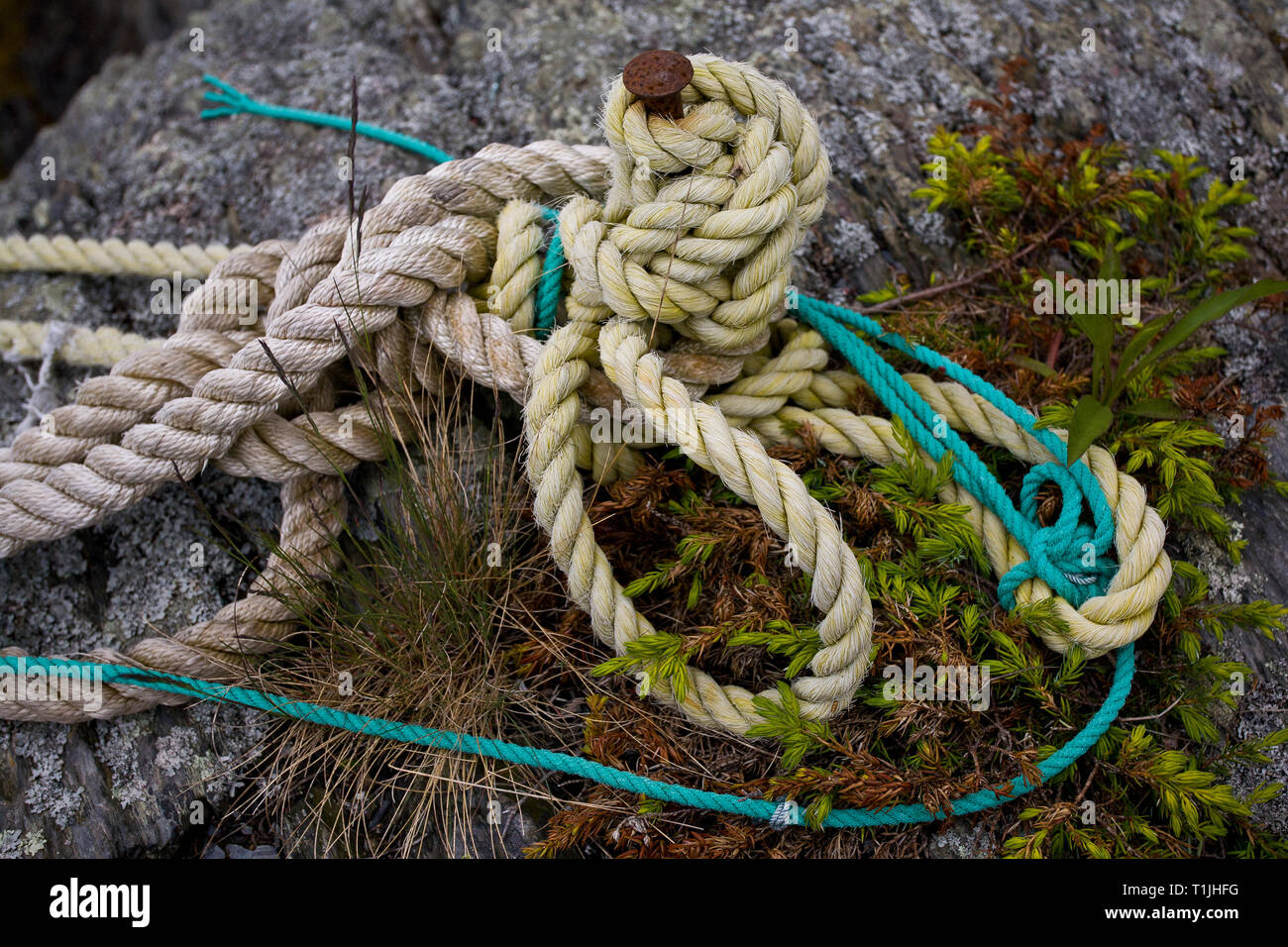Blue Rocks, Lunenburg County, Nova Scotia, Canada Stock Photo - Alamy