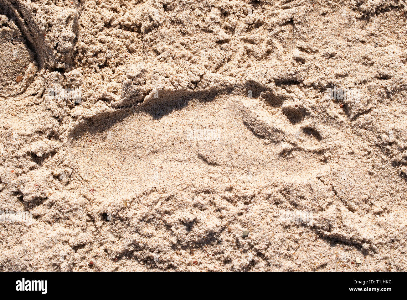 Imprint in the sand hi-res stock photography and images - Alamy