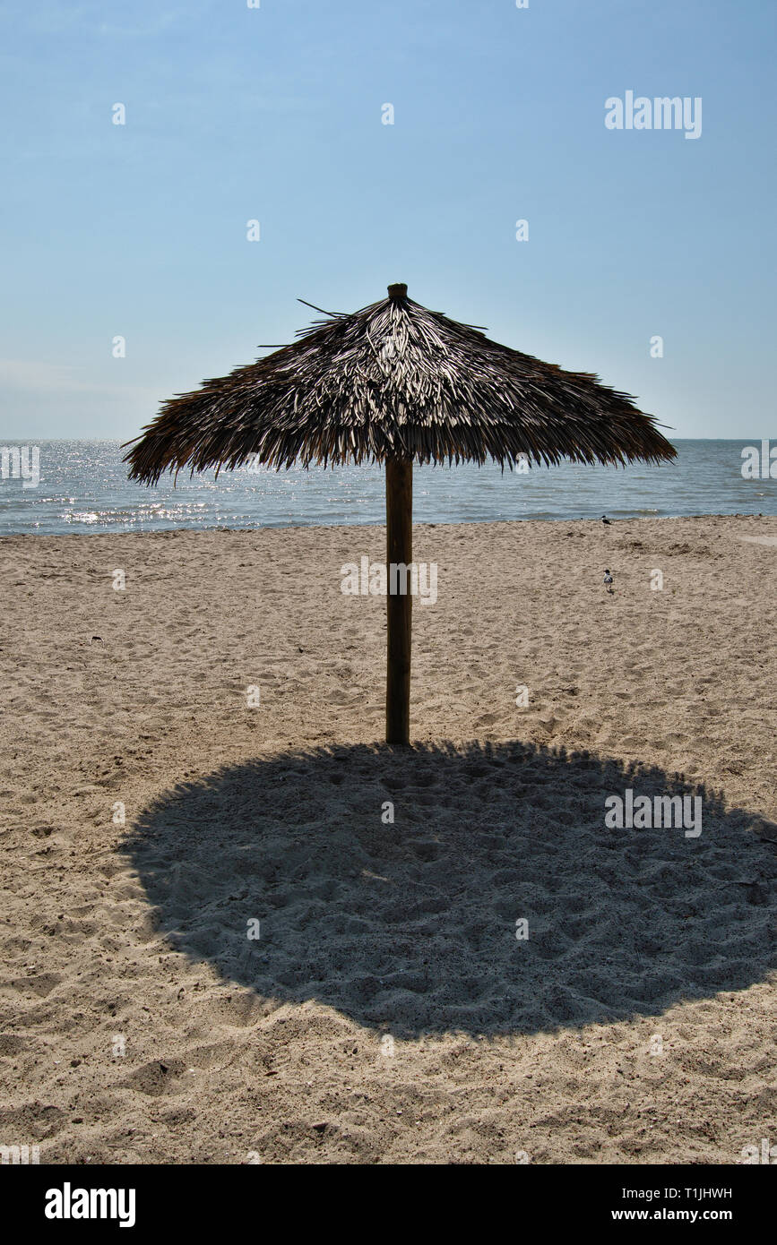 Grass roof shade structure on the beach Stock Photo - Alamy