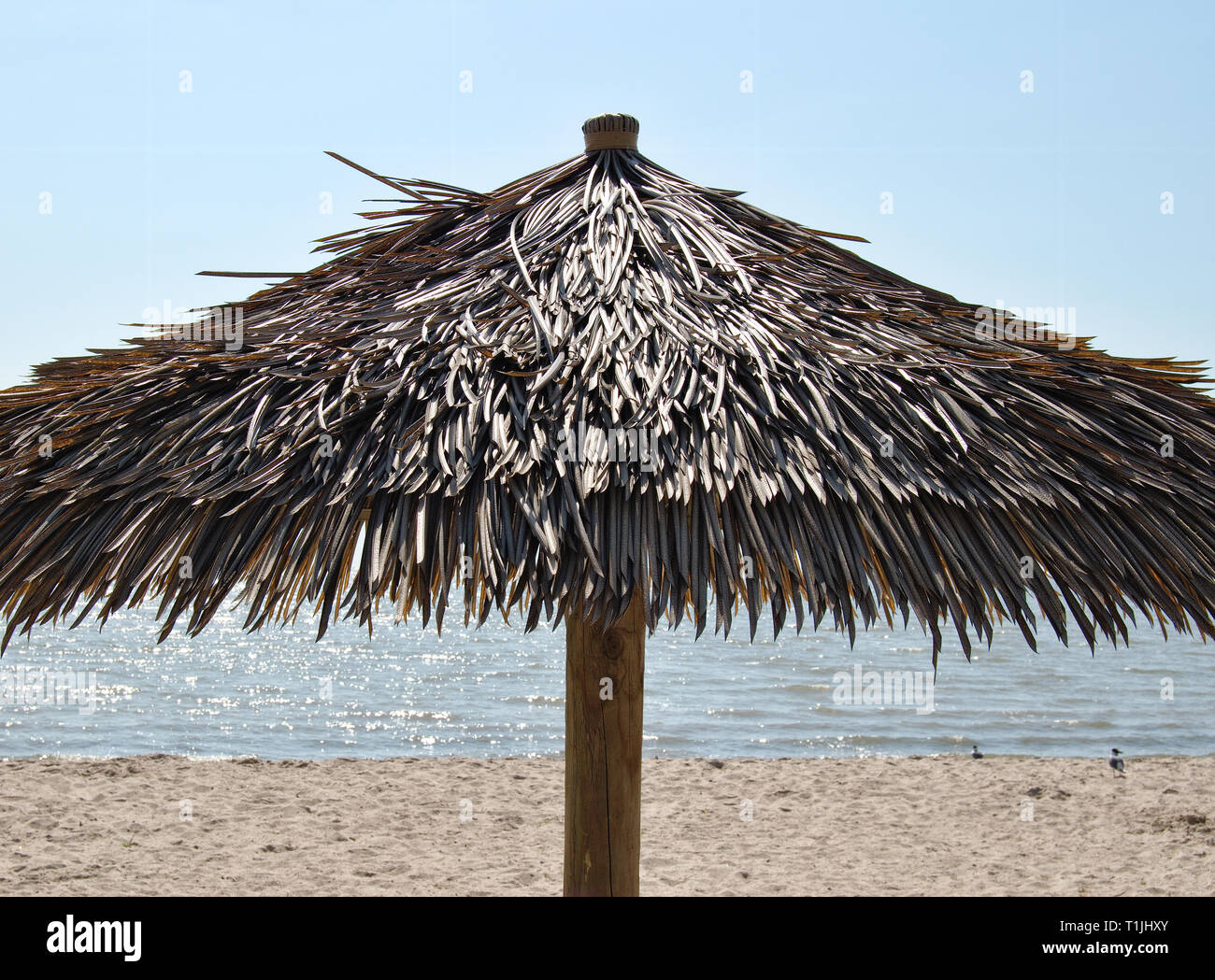 Grass roof shade structure on the beach Stock Photo - Alamy
