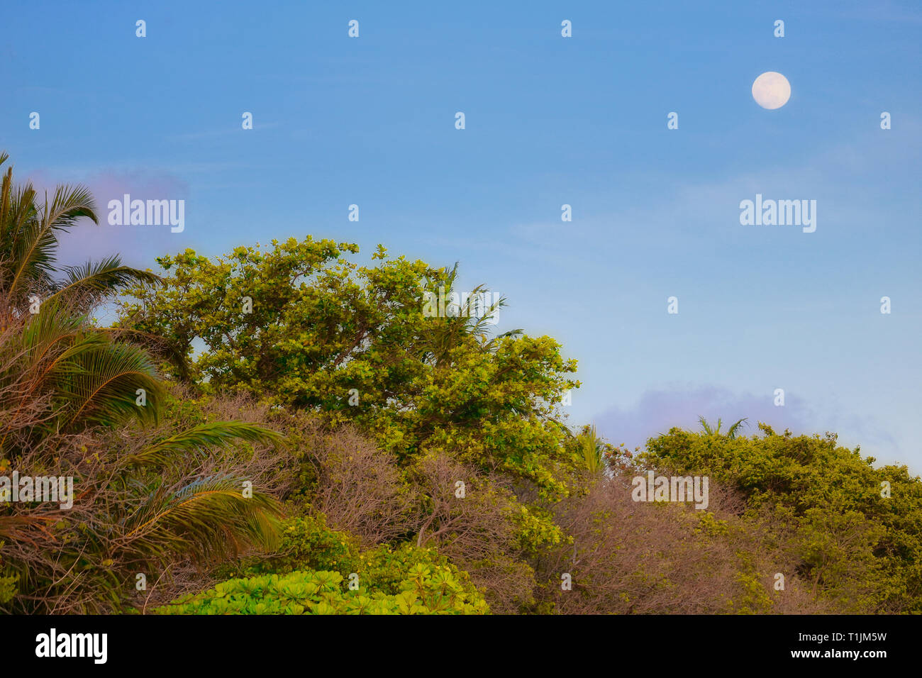 this unique image shows a brightly glowing full moon at dusk and clear ...