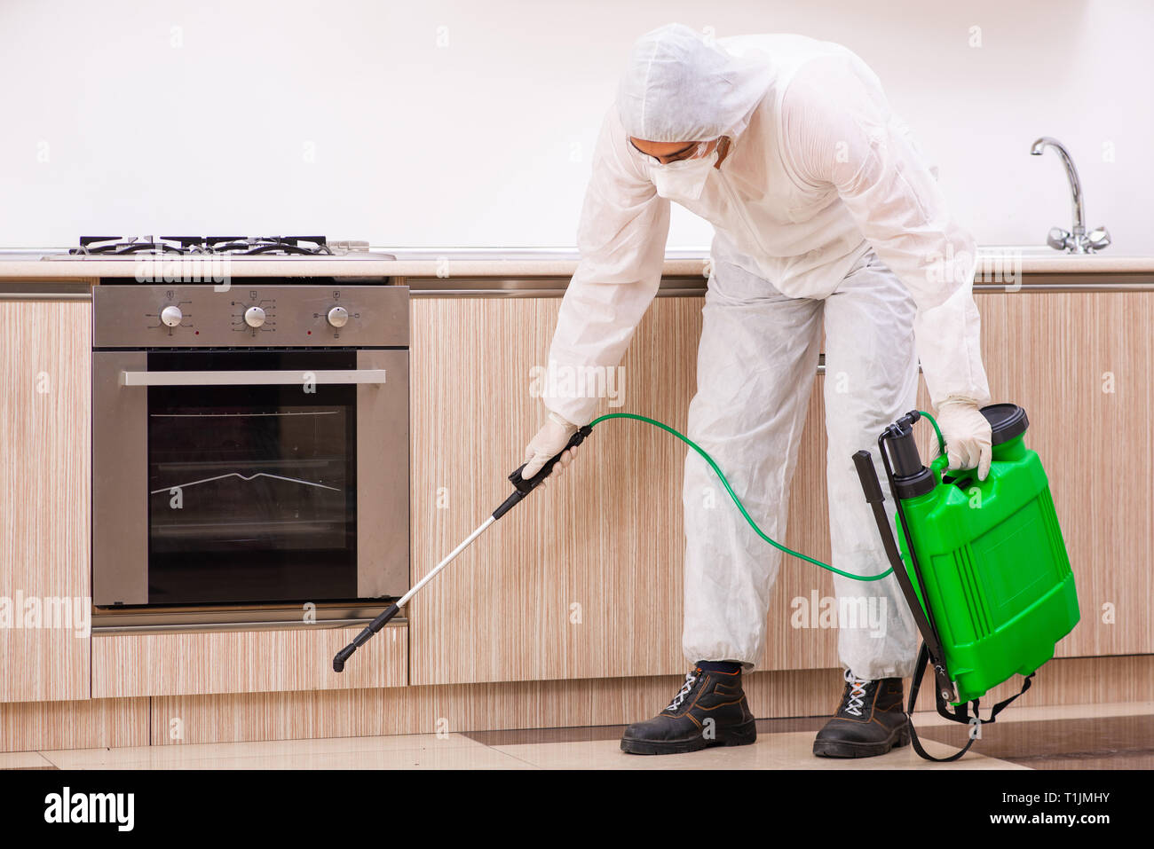 Professional contractor doing pest control at kitchen Stock Photo - Alamy