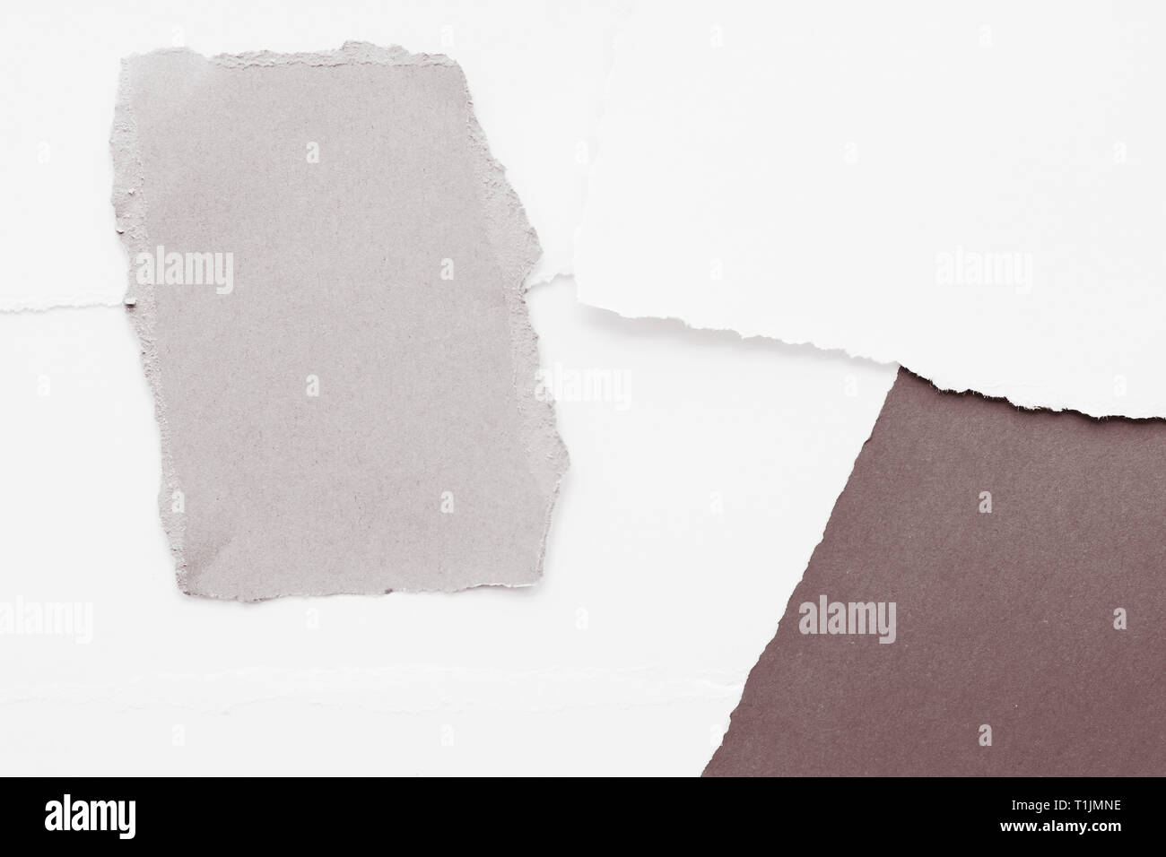 Torn paper texture as background. Creativity takes time Stock Photo - Alamy