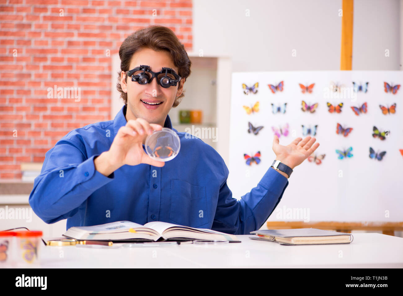 Student entomologist studying new species of butterflies Stock Photo ...