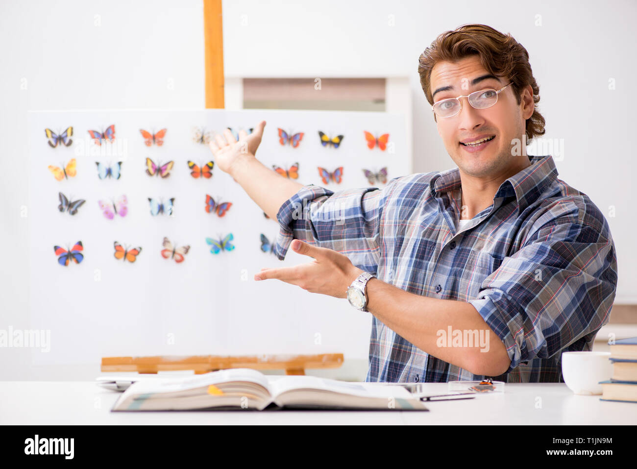 Student entomologist studying new species of butterflies Stock Photo ...