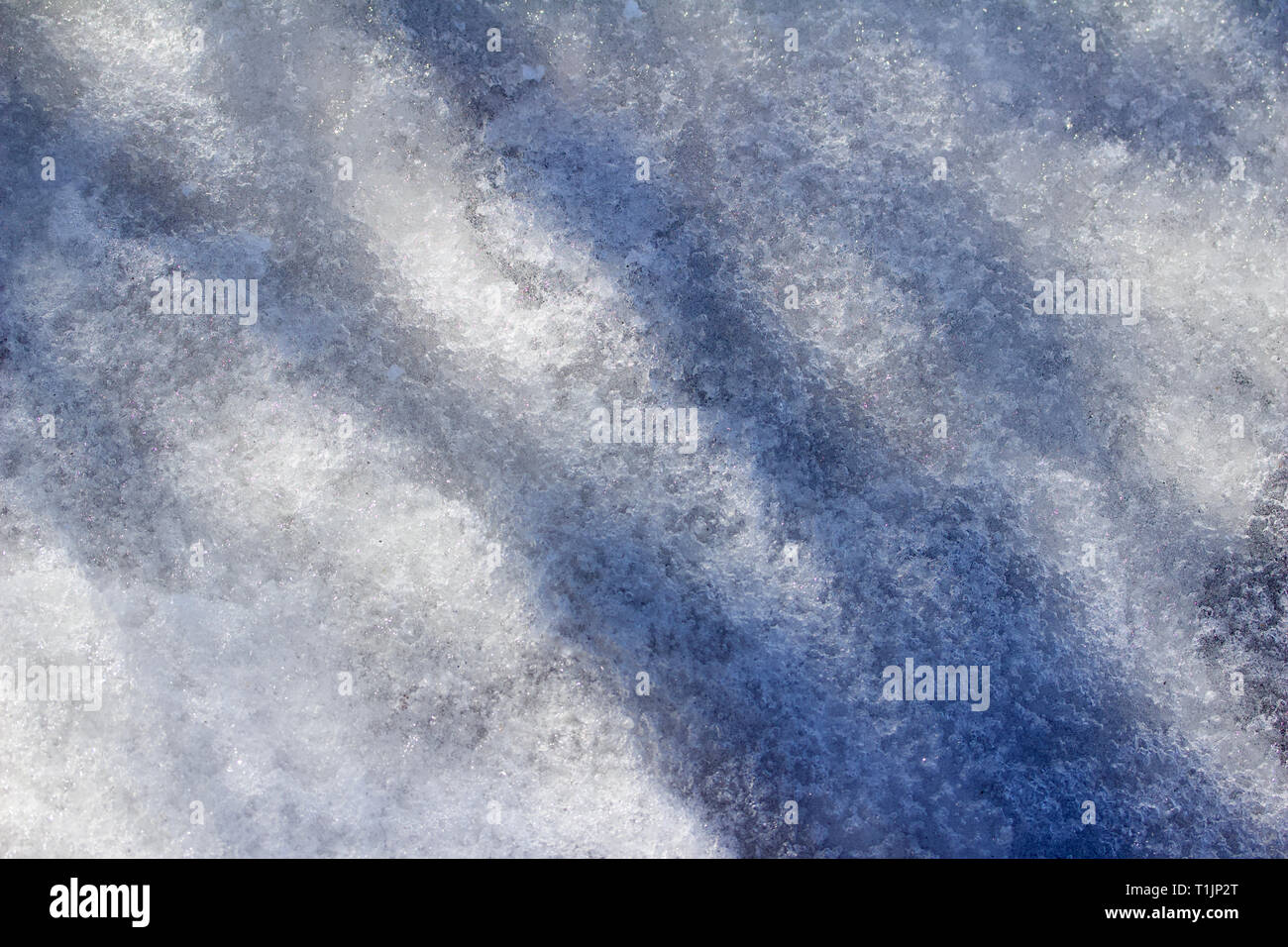 Macro abstract background of melting snow on a ground surface with tree ...
