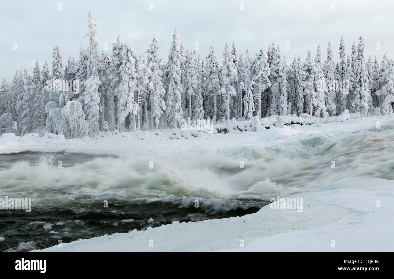 Cold winter evening, some mist. Rapids this side snowy and covered ...
